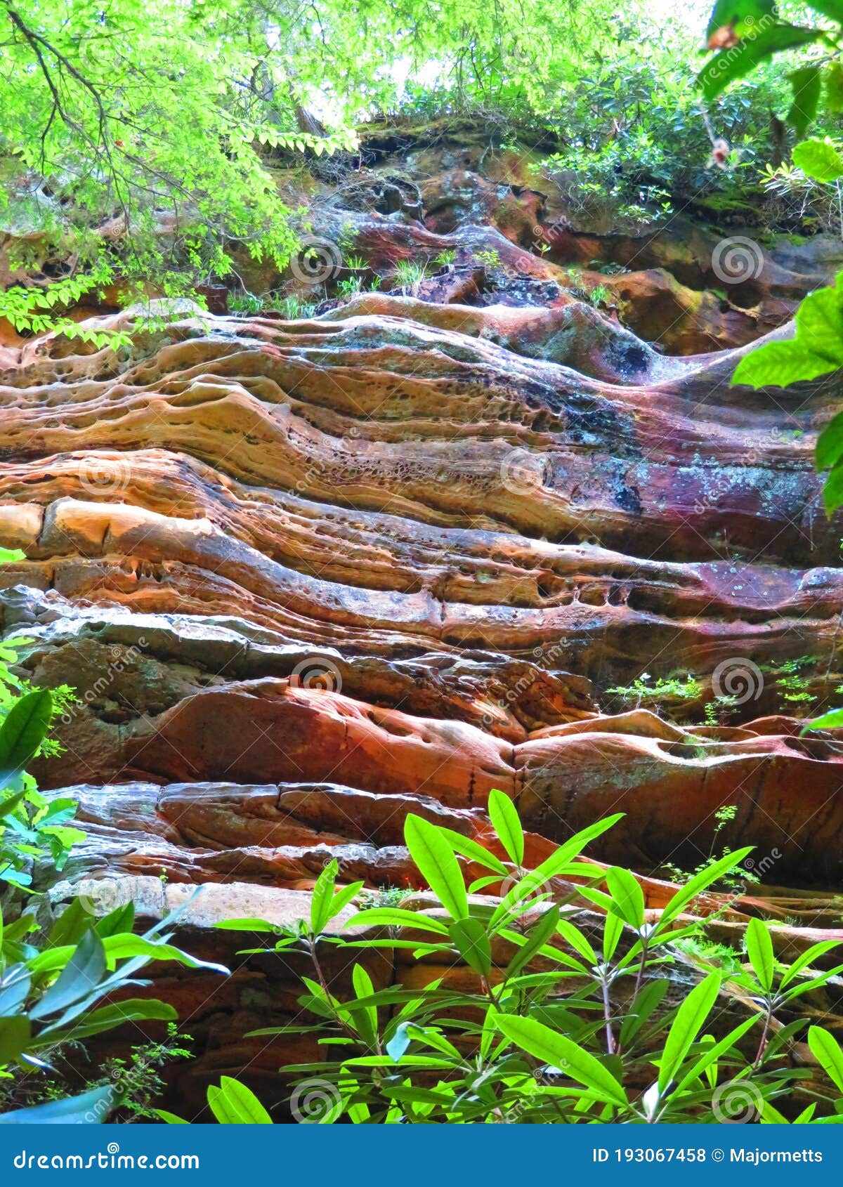 Pitted Rock Layers among Trees Stock Photo - Image of stones, pocked ...