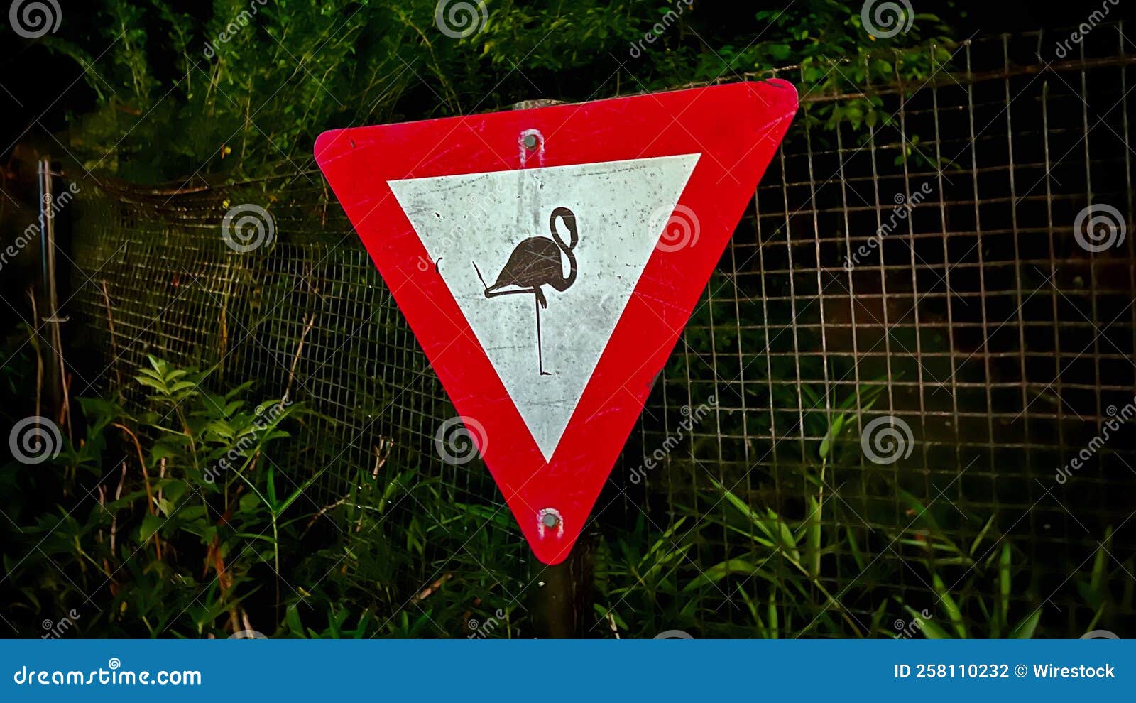 Pittsburgh Zoo Flamingo Warning Sign Editorial Photography - Image of ...