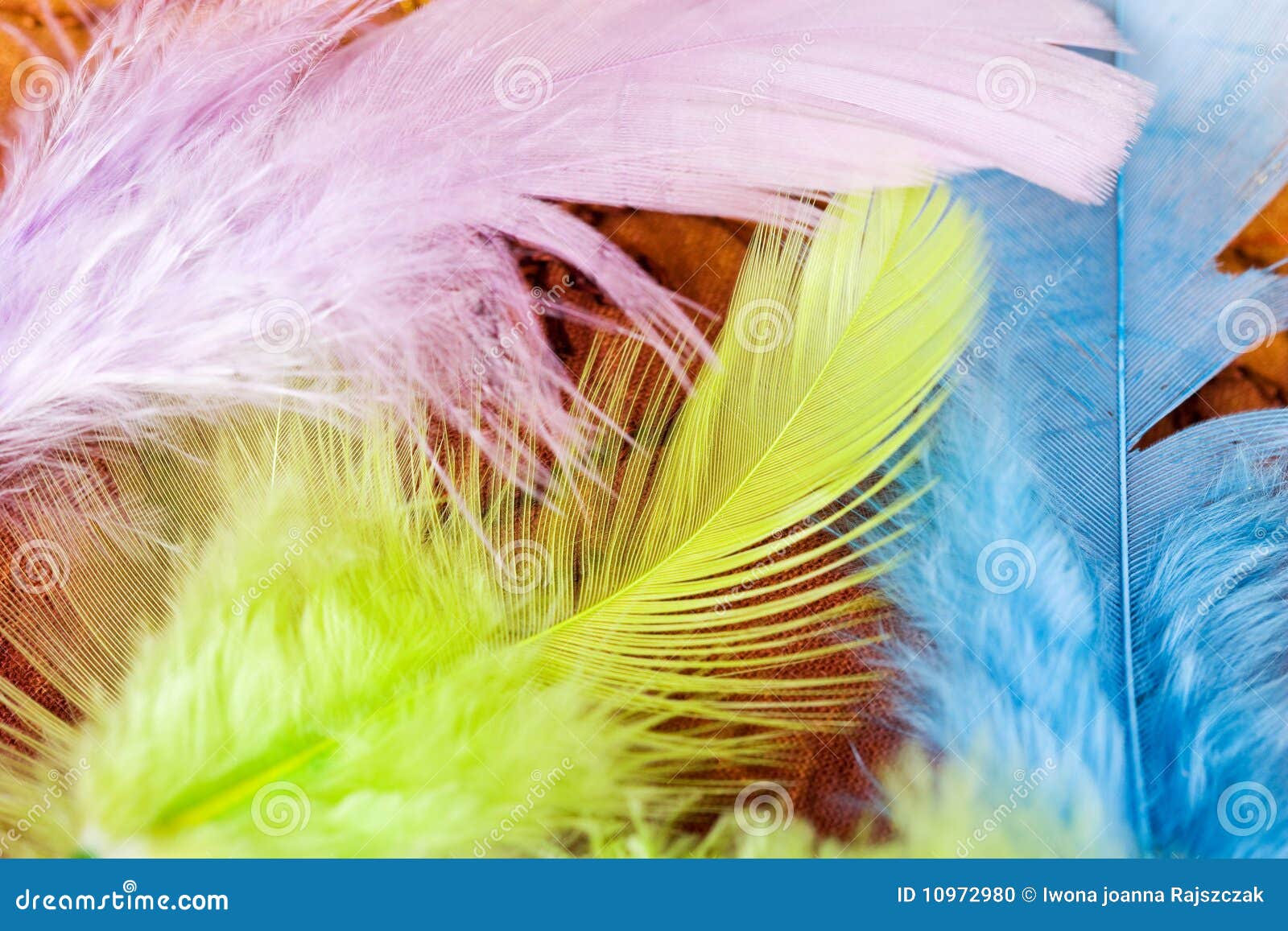 Piuma fotografia stock. Immagine di sfondo, modello, disegno - 10972980