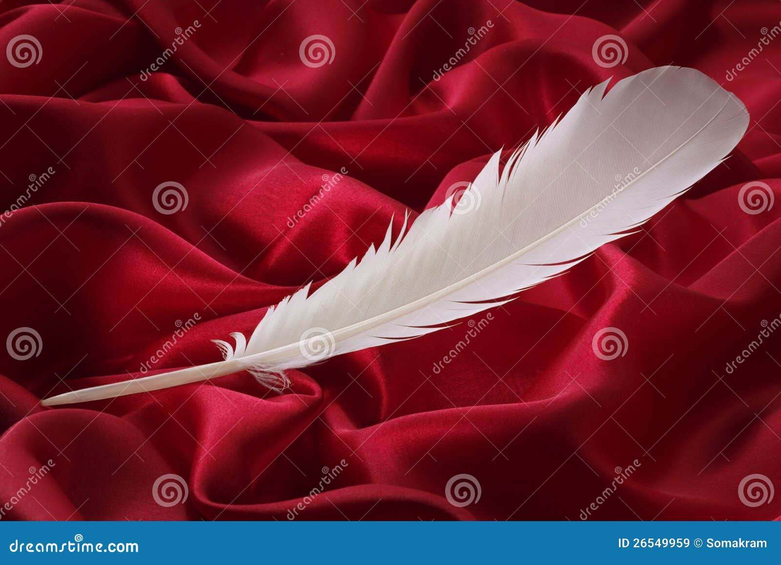 Piuma immagine stock. Immagine di rosso, spoletta, pace - 26549959