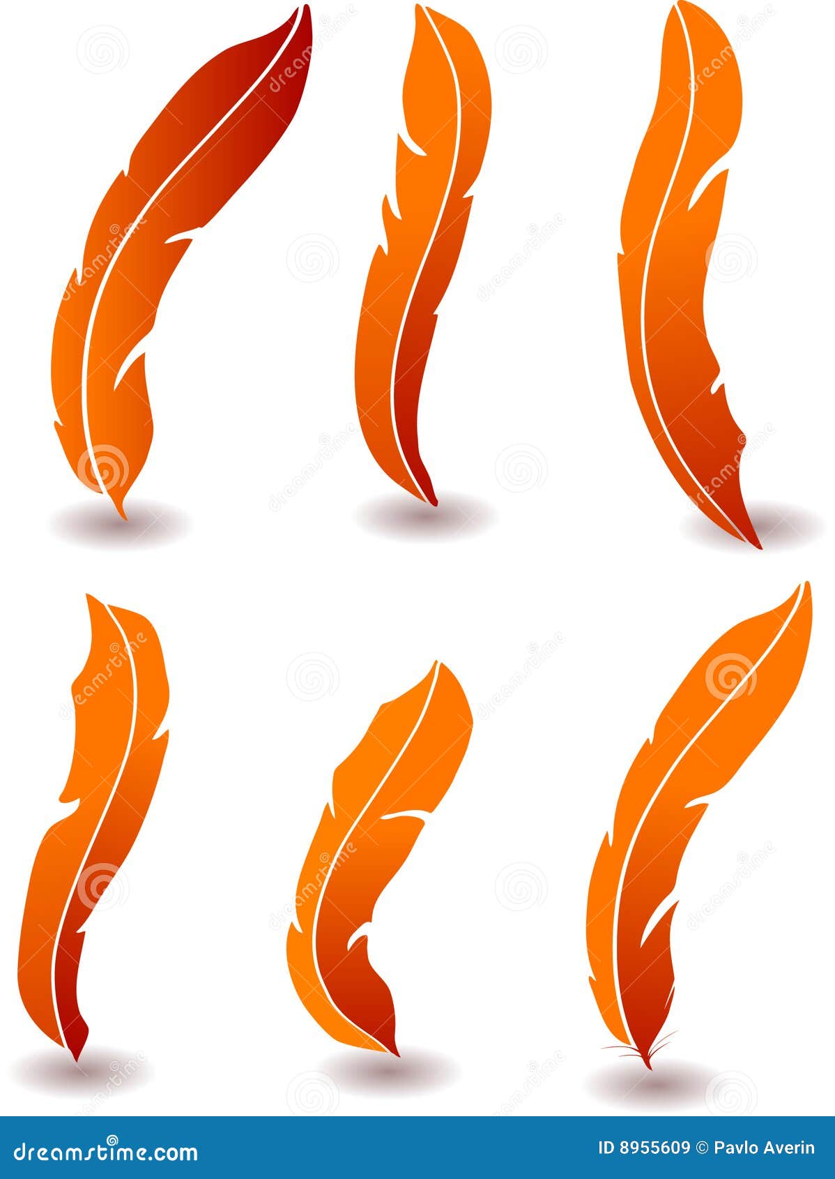 Piuma illustrazione vettoriale. Illustrazione di piuma - 8955609