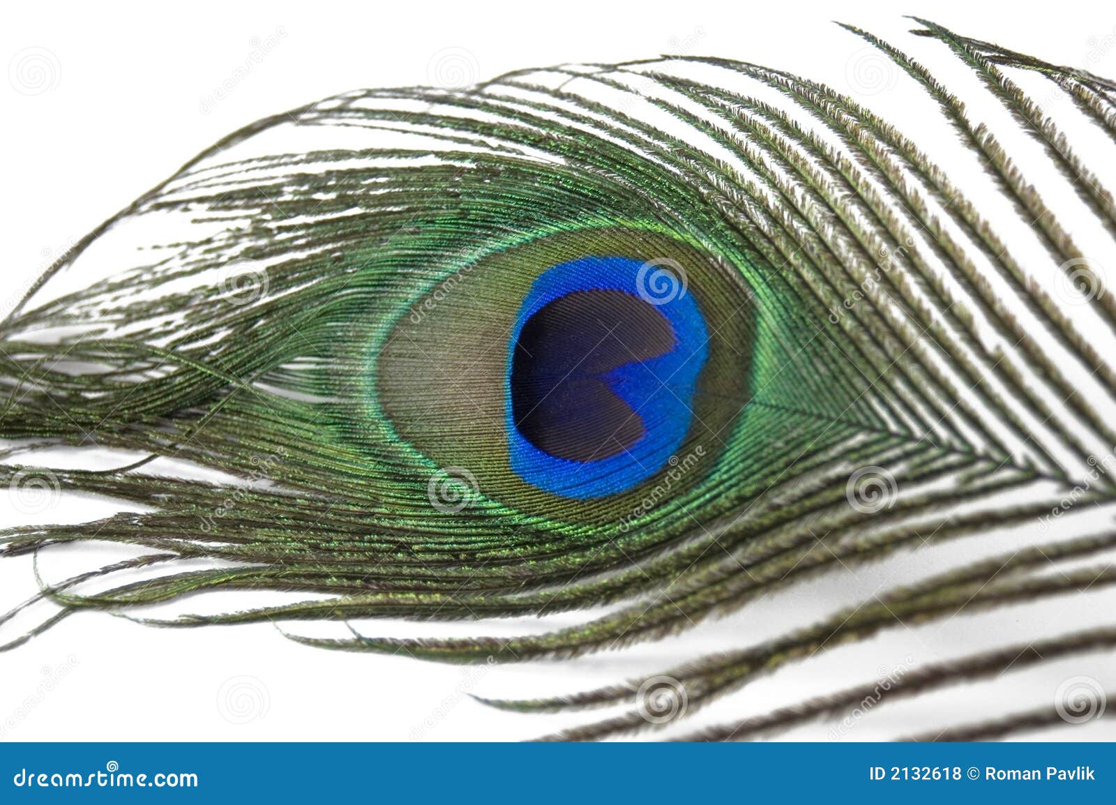 Piuma del pavone fotografia stock. Immagine di multicolore - 2132618
