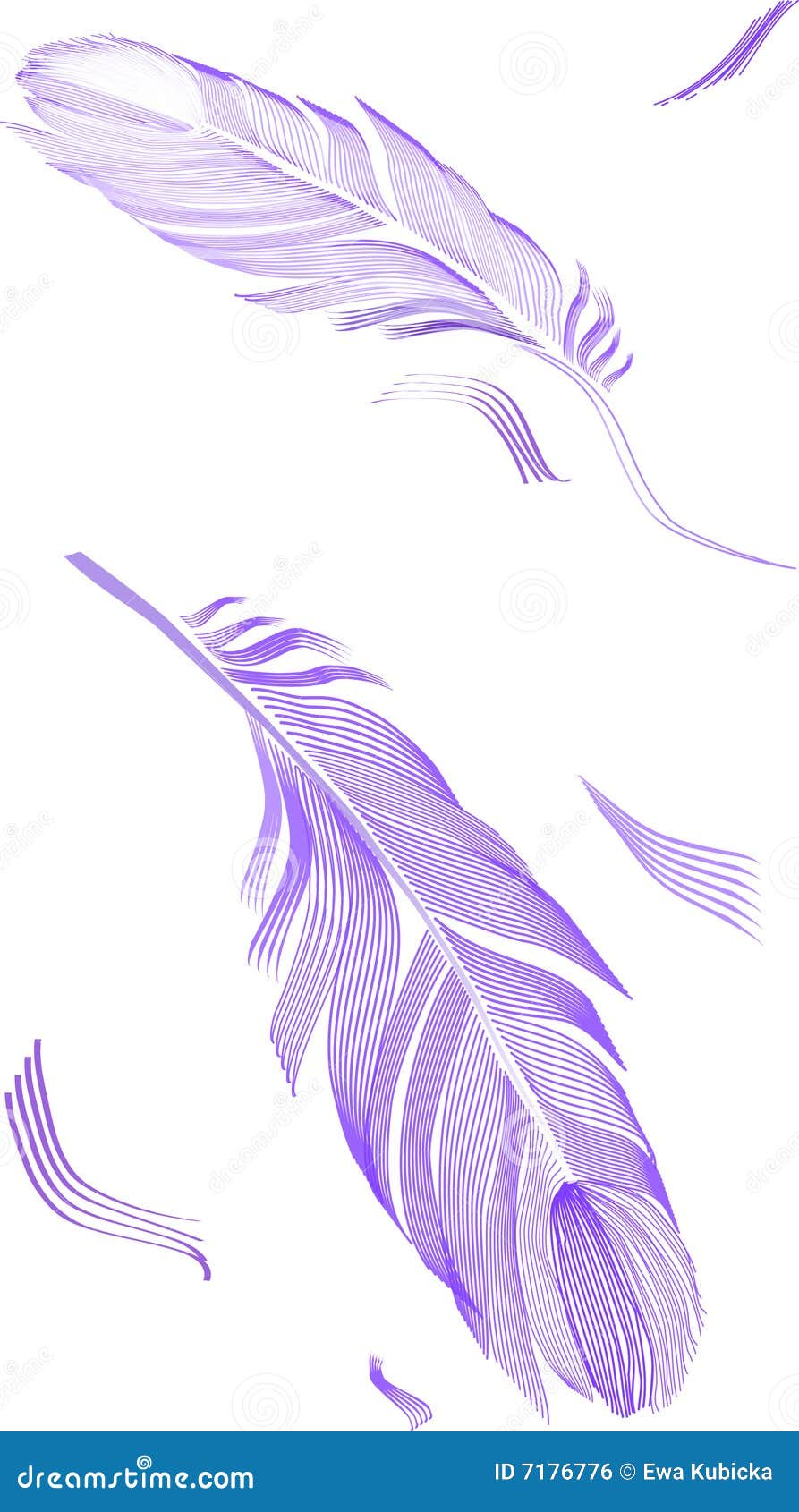 Piuma dell'illustrazione illustrazione vettoriale. Illustrazione di ...