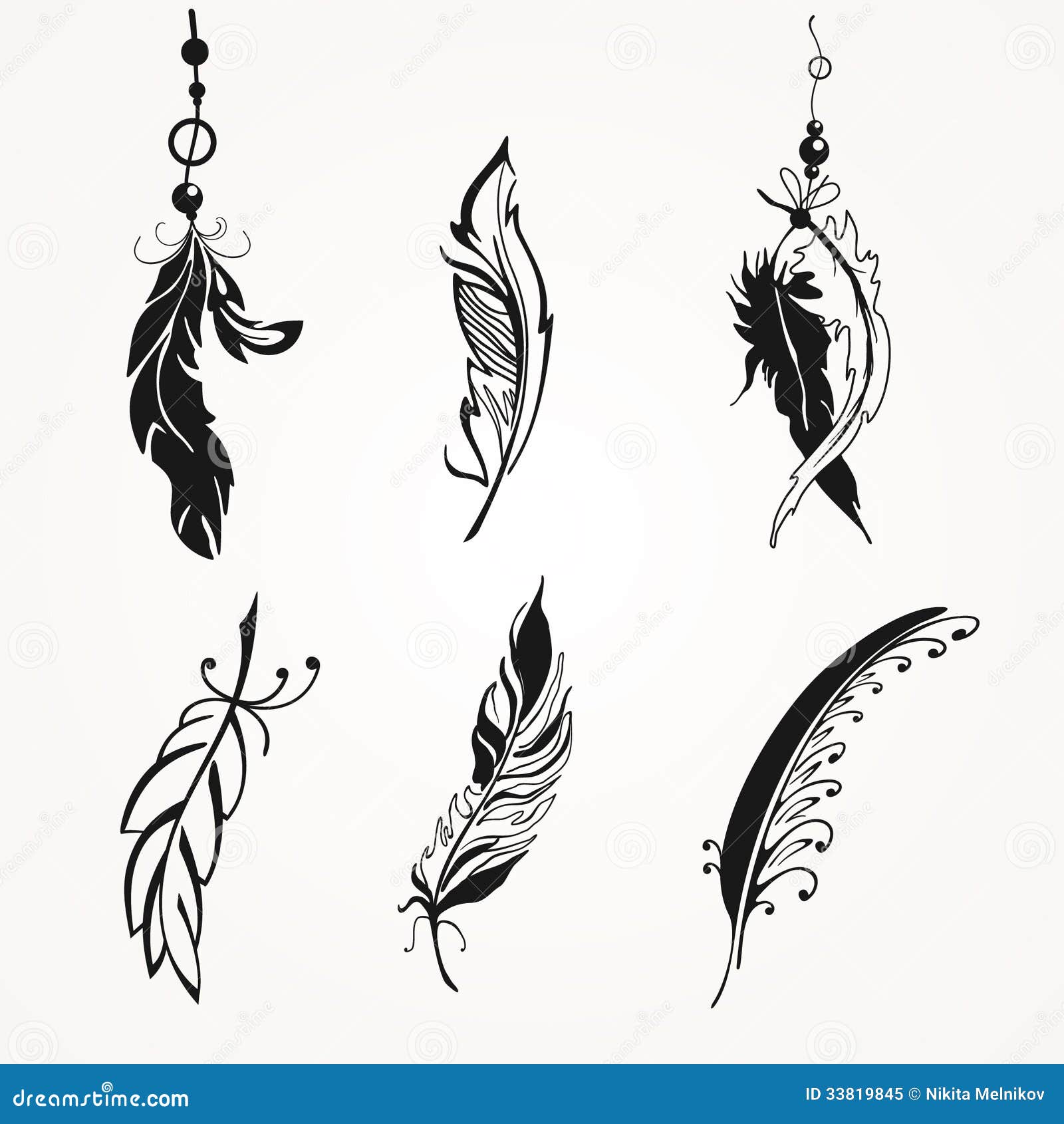 Piume illustrazione vettoriale. Illustrazione di animale - 33819845