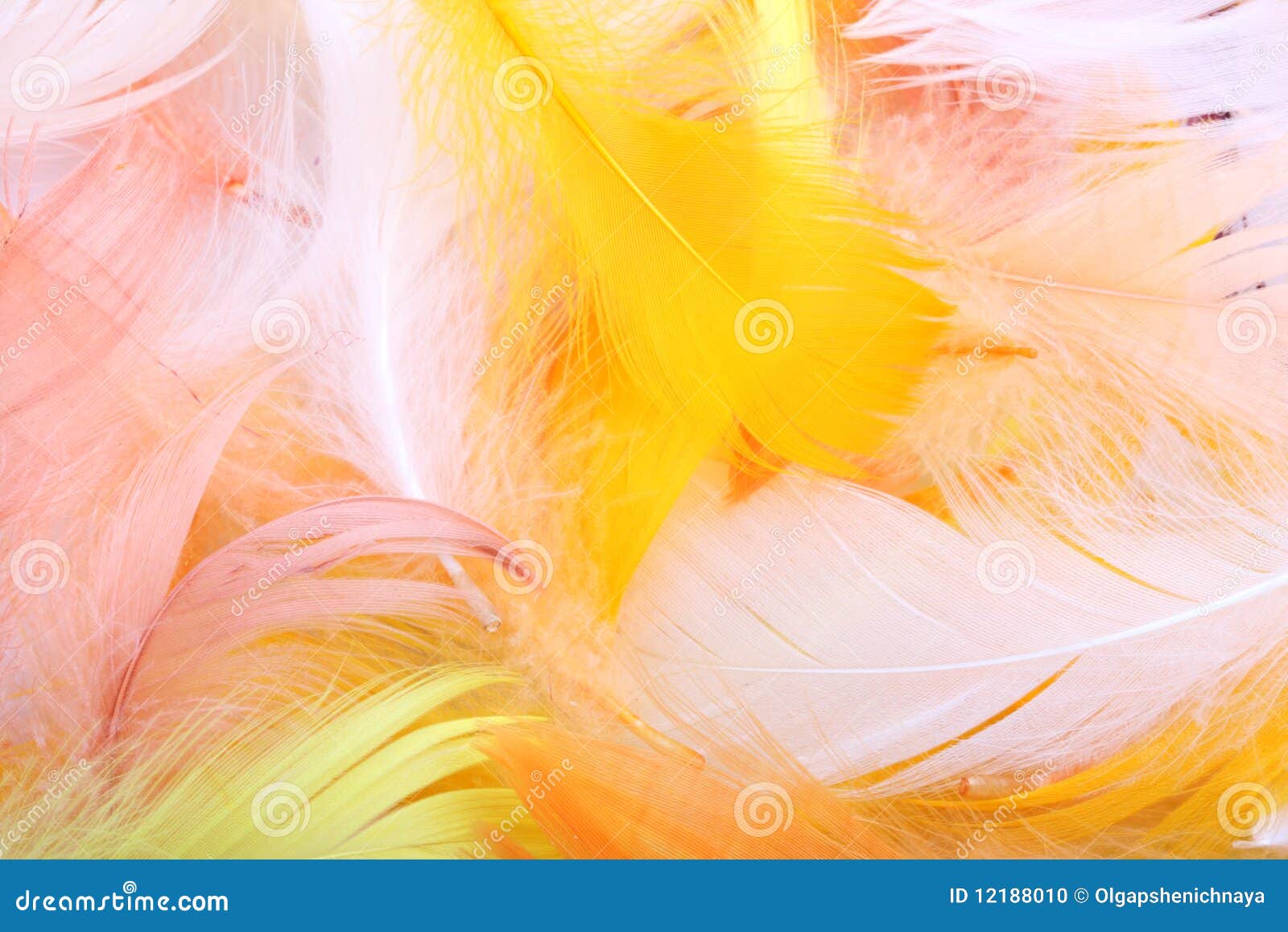 Piume colorate fotografia stock. Immagine di estratto - 12188010