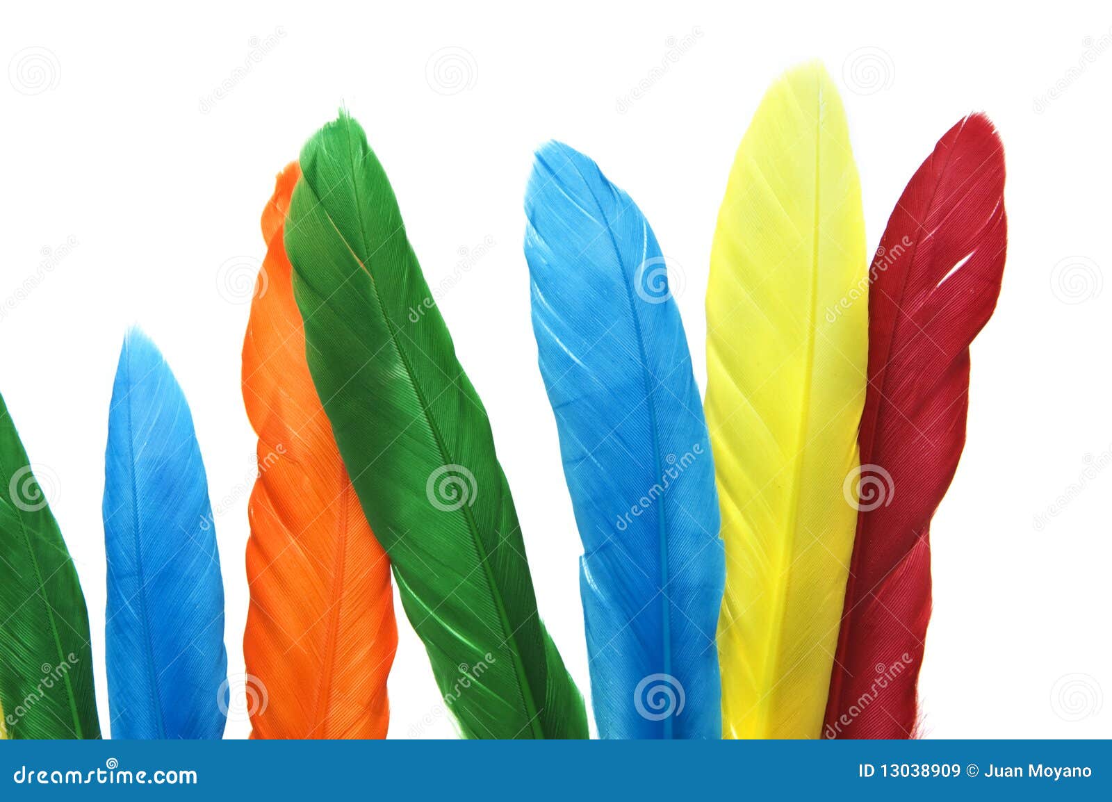 Piume colorate immagine stock. Immagine di isolato, uccello - 13038909