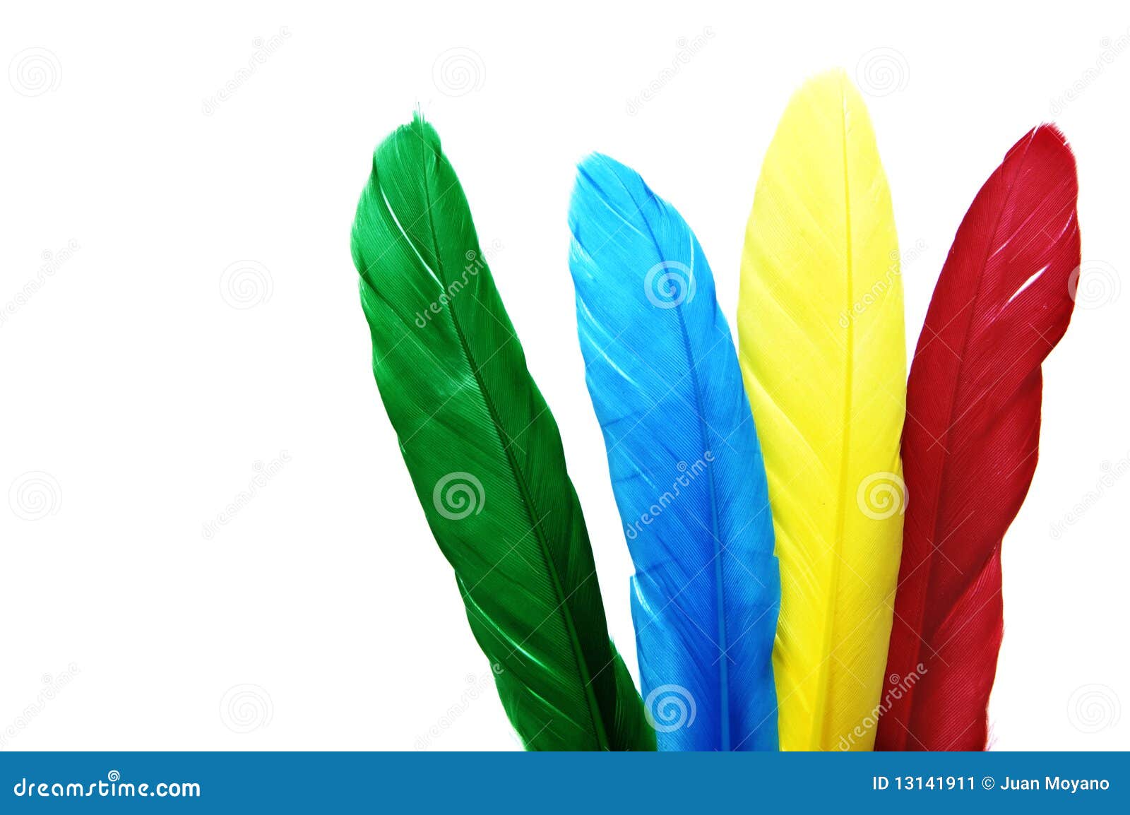 Piume colorate immagine stock. Immagine di grafico, libero - 13141911
