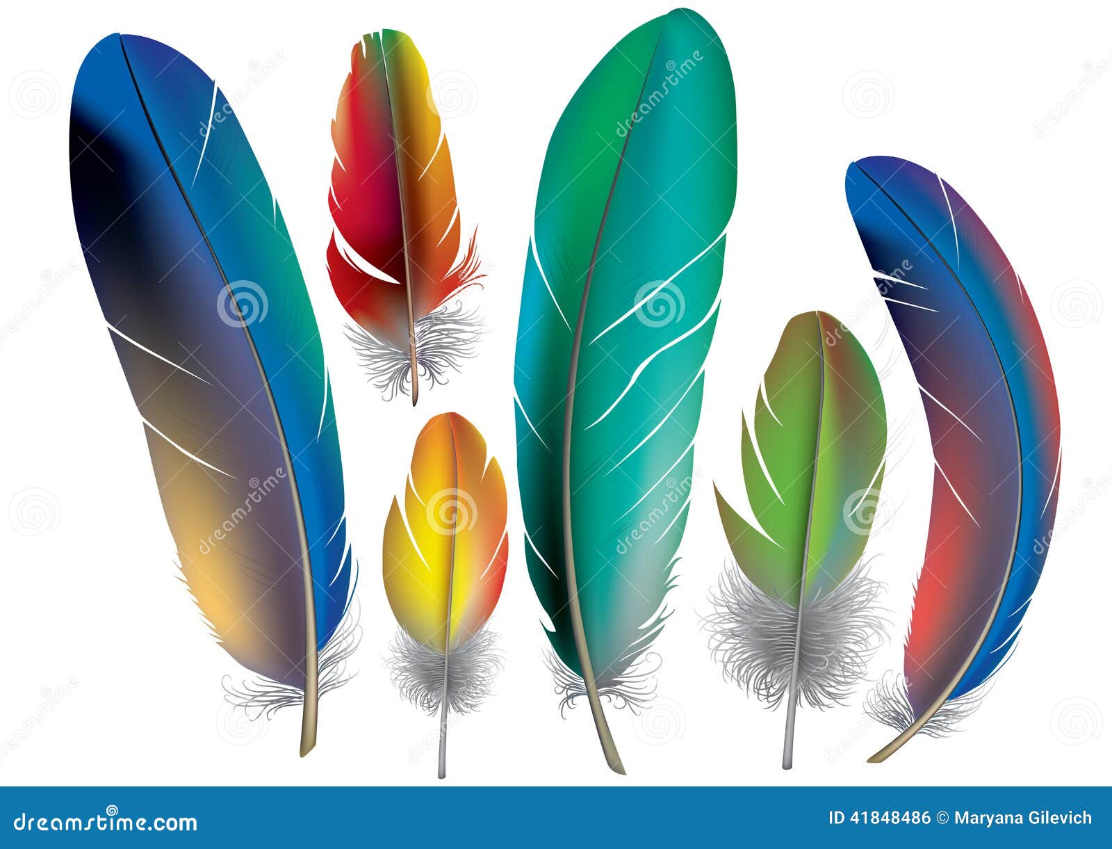 Piume colorate illustrazione vettoriale. Illustrazione di decorazione ...
