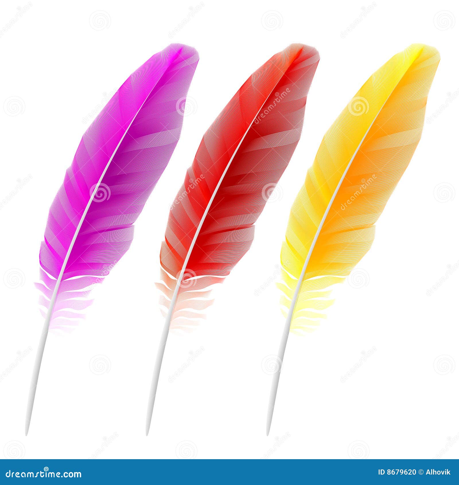 Piume colorate. Vettore. illustrazione vettoriale. Illustrazione di ...