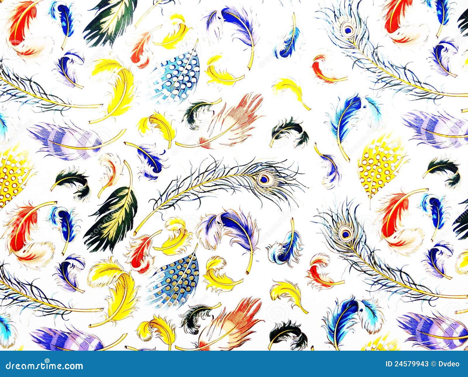 Piume di Colorfull immagine stock. Immagine di colorato - 24579943