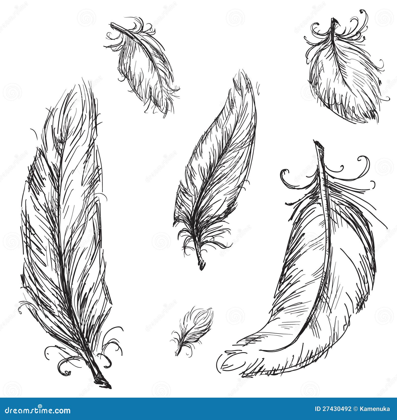 Piume di vettore illustrazione vettoriale. Illustrazione di inchiostro ...