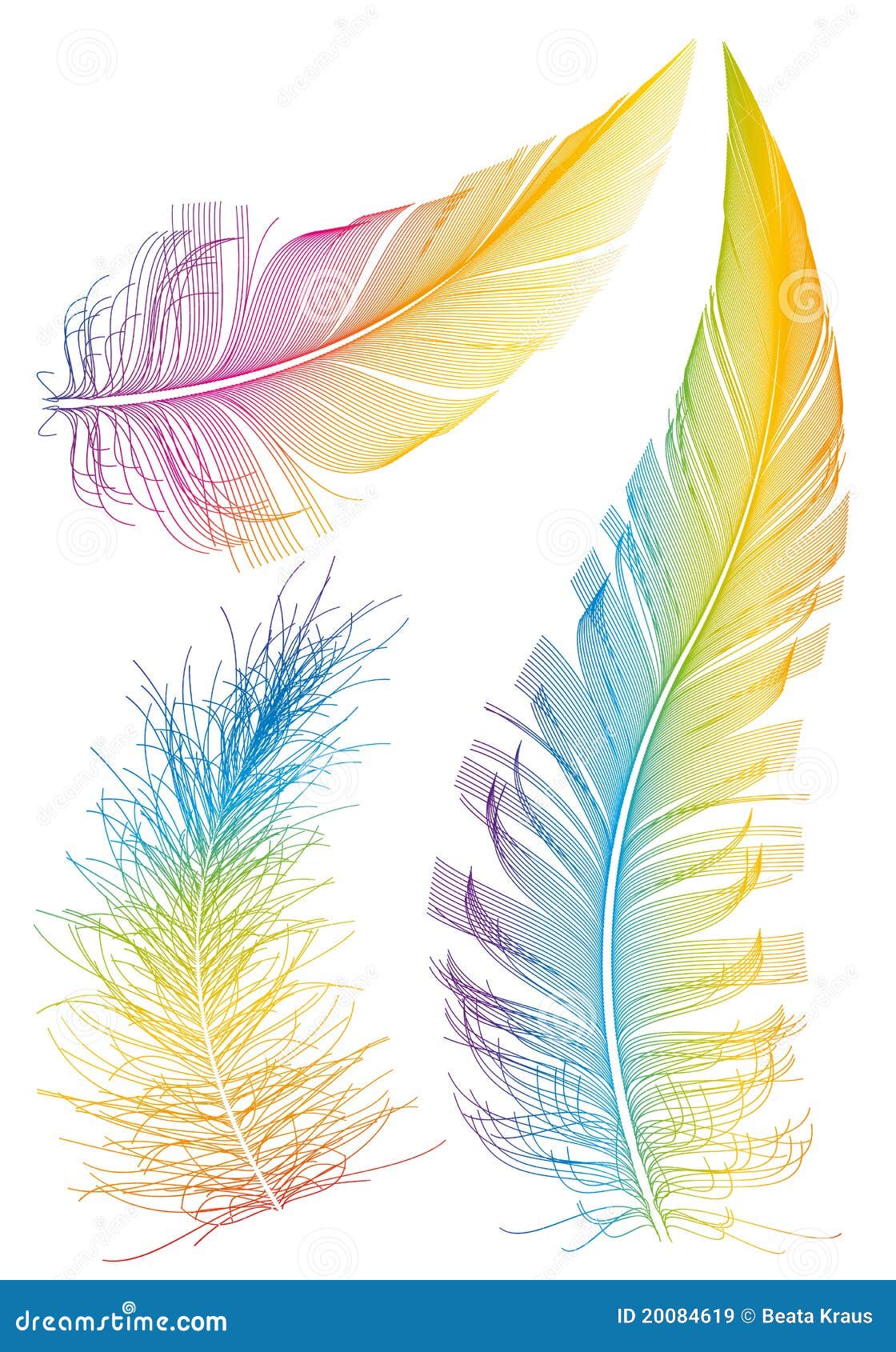 Piume variopinte illustrazione vettoriale. Illustrazione di grafico ...
