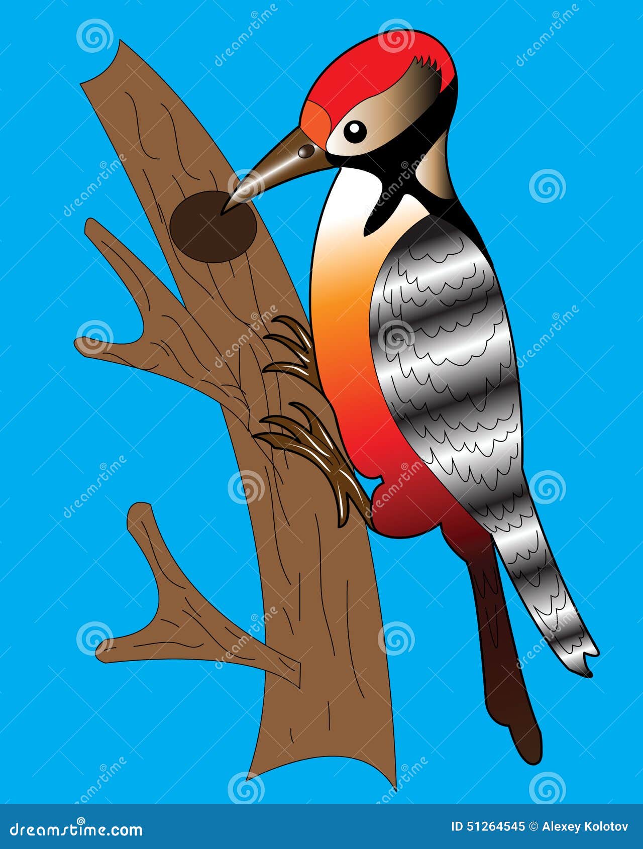 Pivert illustration de vecteur. Illustration du oiseau - 51264545