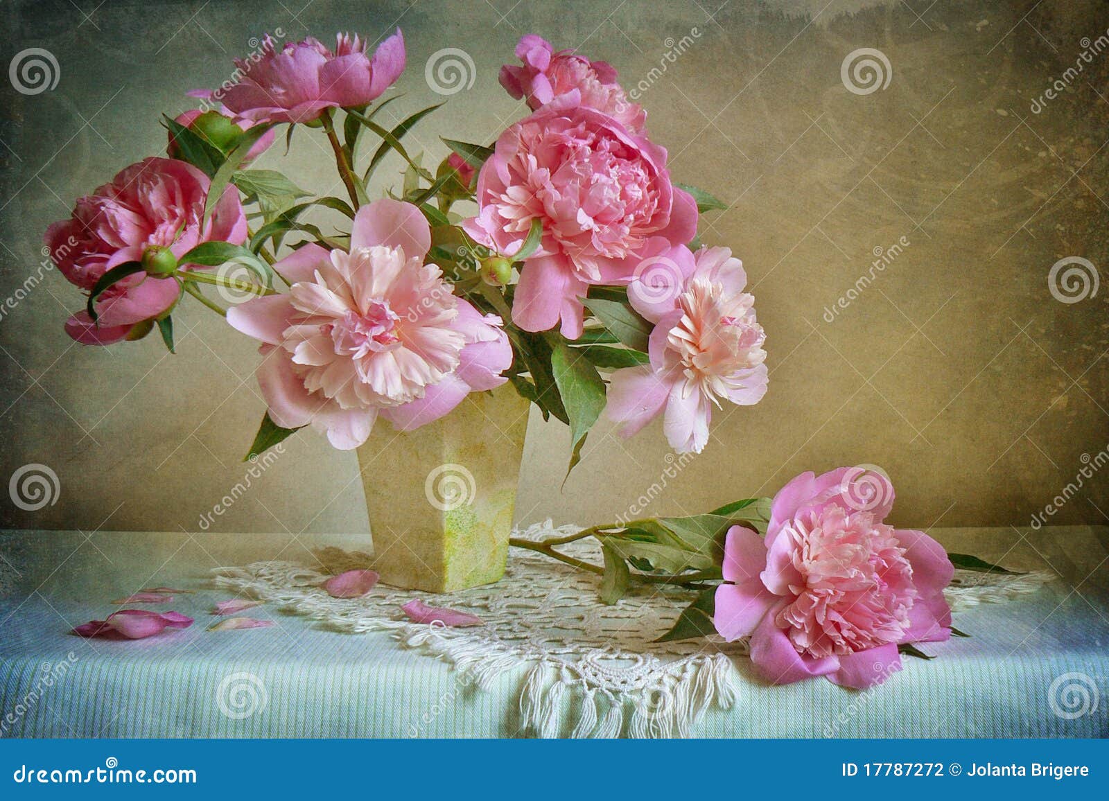 Pivoines roses photo stock. Image du maison, crochet - 17787272