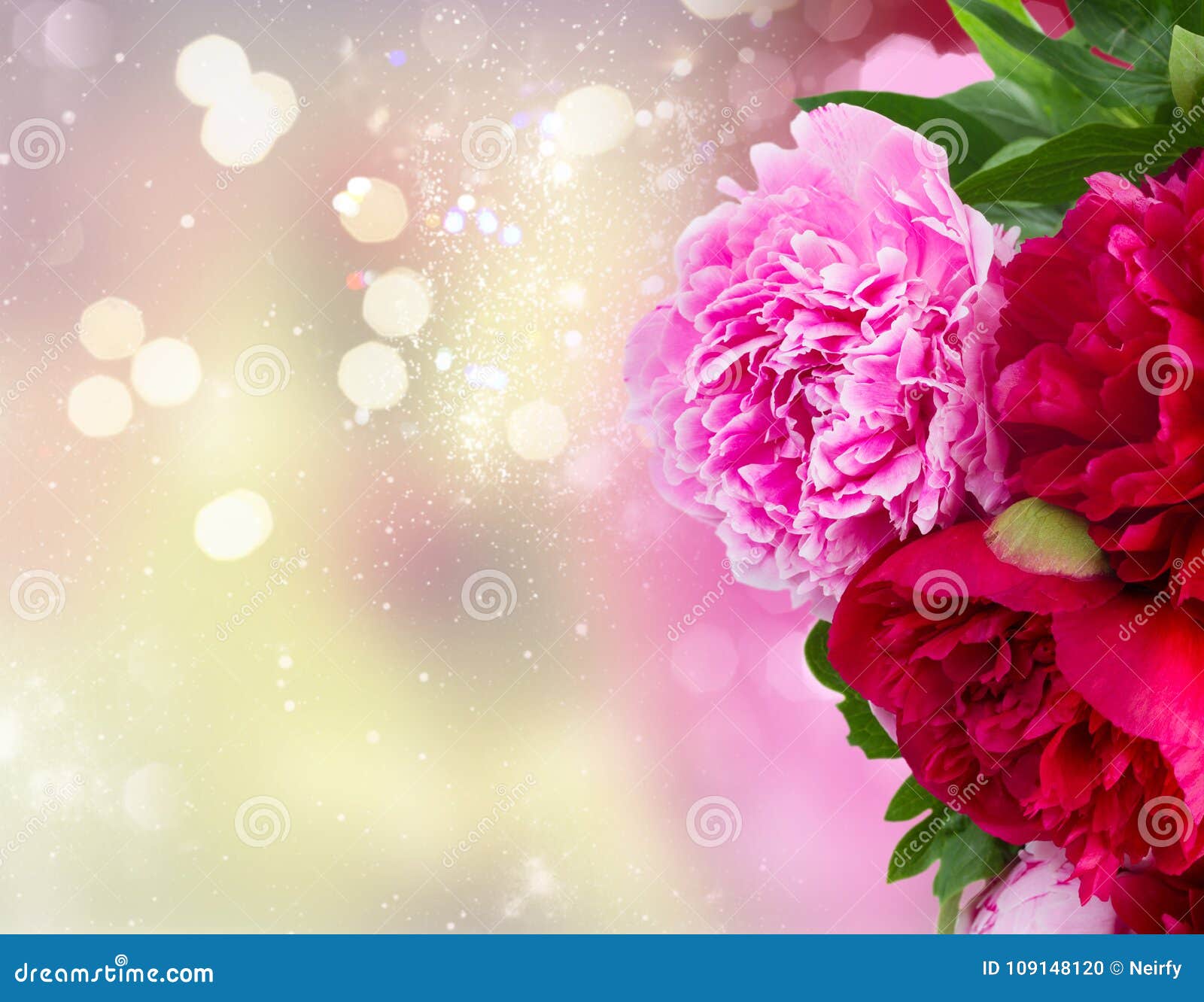 Pivoines roses et rouges illustration stock. Illustration du rouge ...