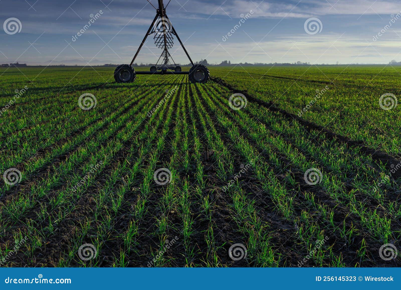 Pivot Irragation System in Field on a Bright Sunny Day Stock Image ...