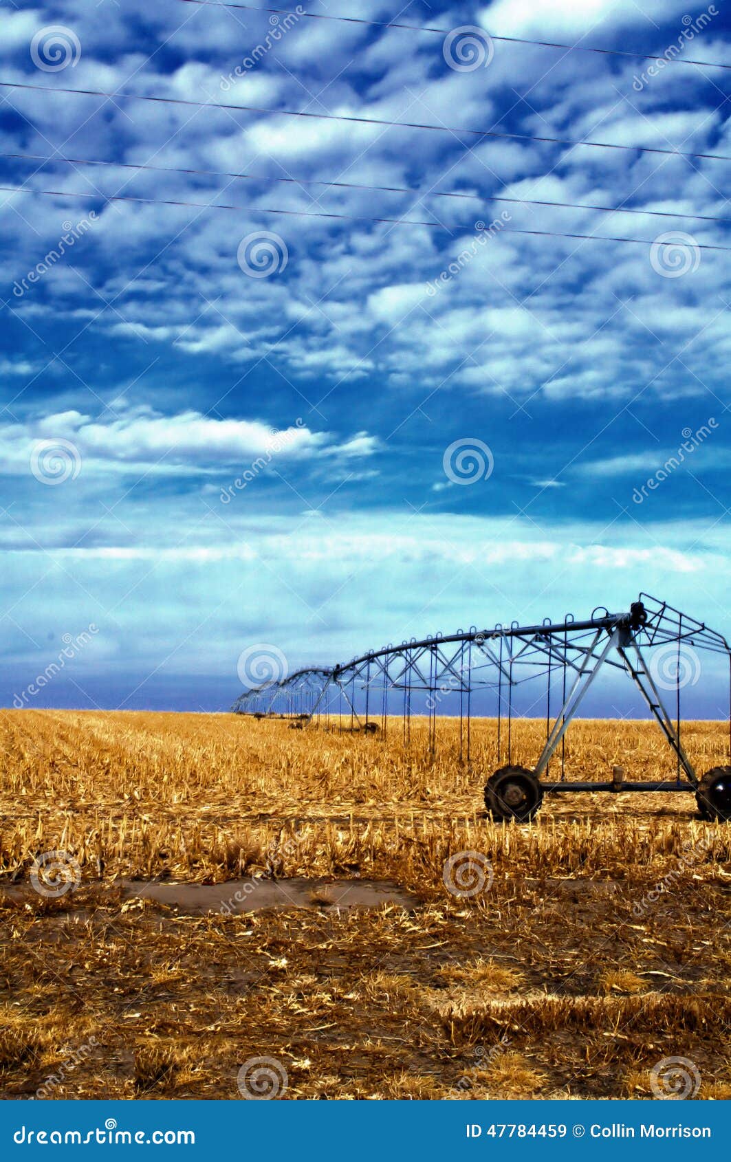 Pivot Irrigation Portrait stock image. Image of rolling - 47784459