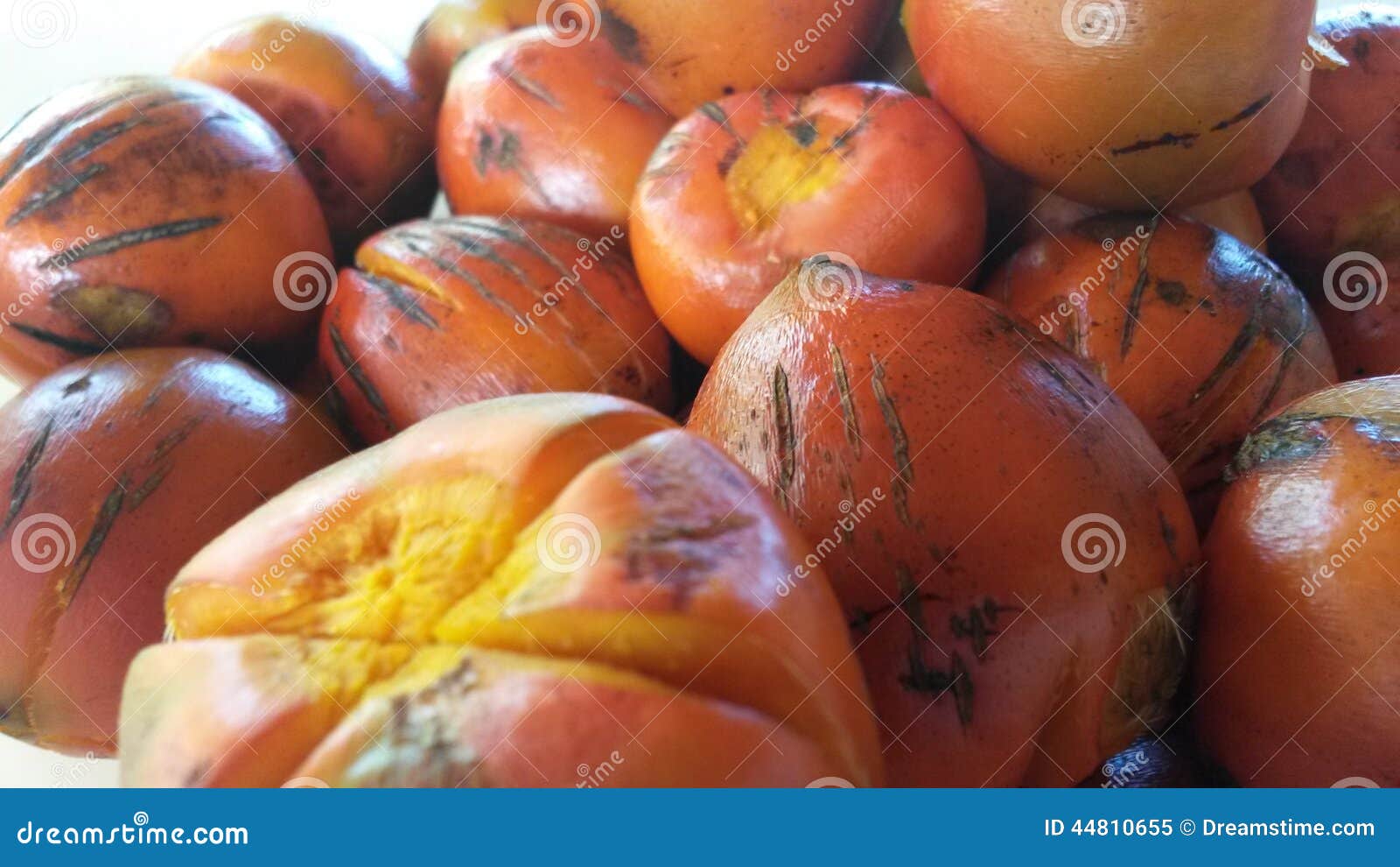 Pixbae stock image. Image of pixbae, criollo, pixba, chontaduro - 44810655