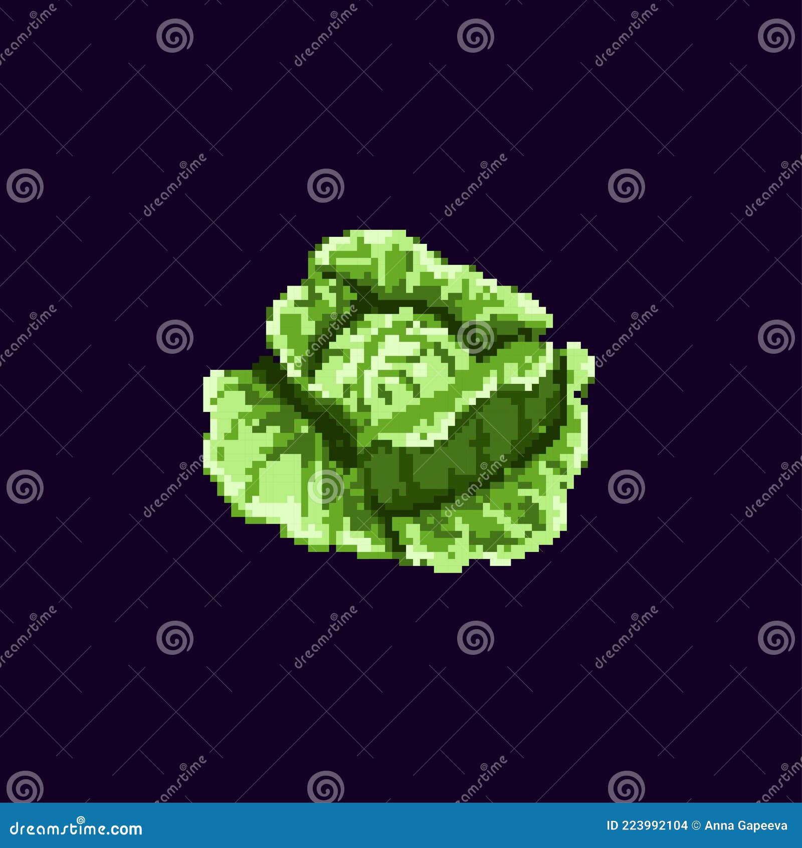 Pixel-art Cabbage. Whole Cabbage on Dark Background Stock Vector ...