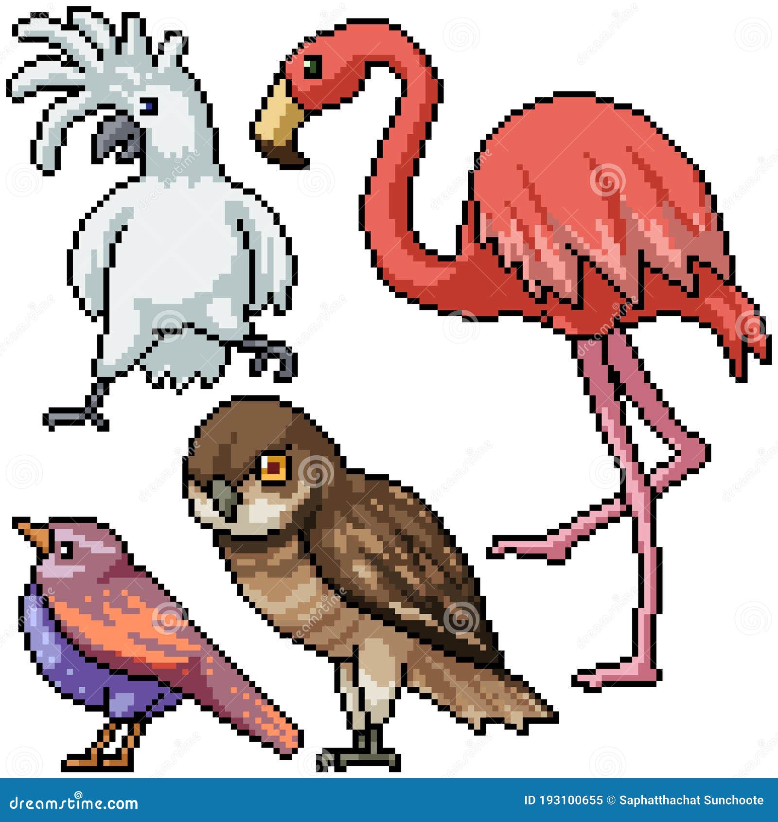 Pixel Art Isolated Wild Bird Species Stock Vector - Illustration of ...