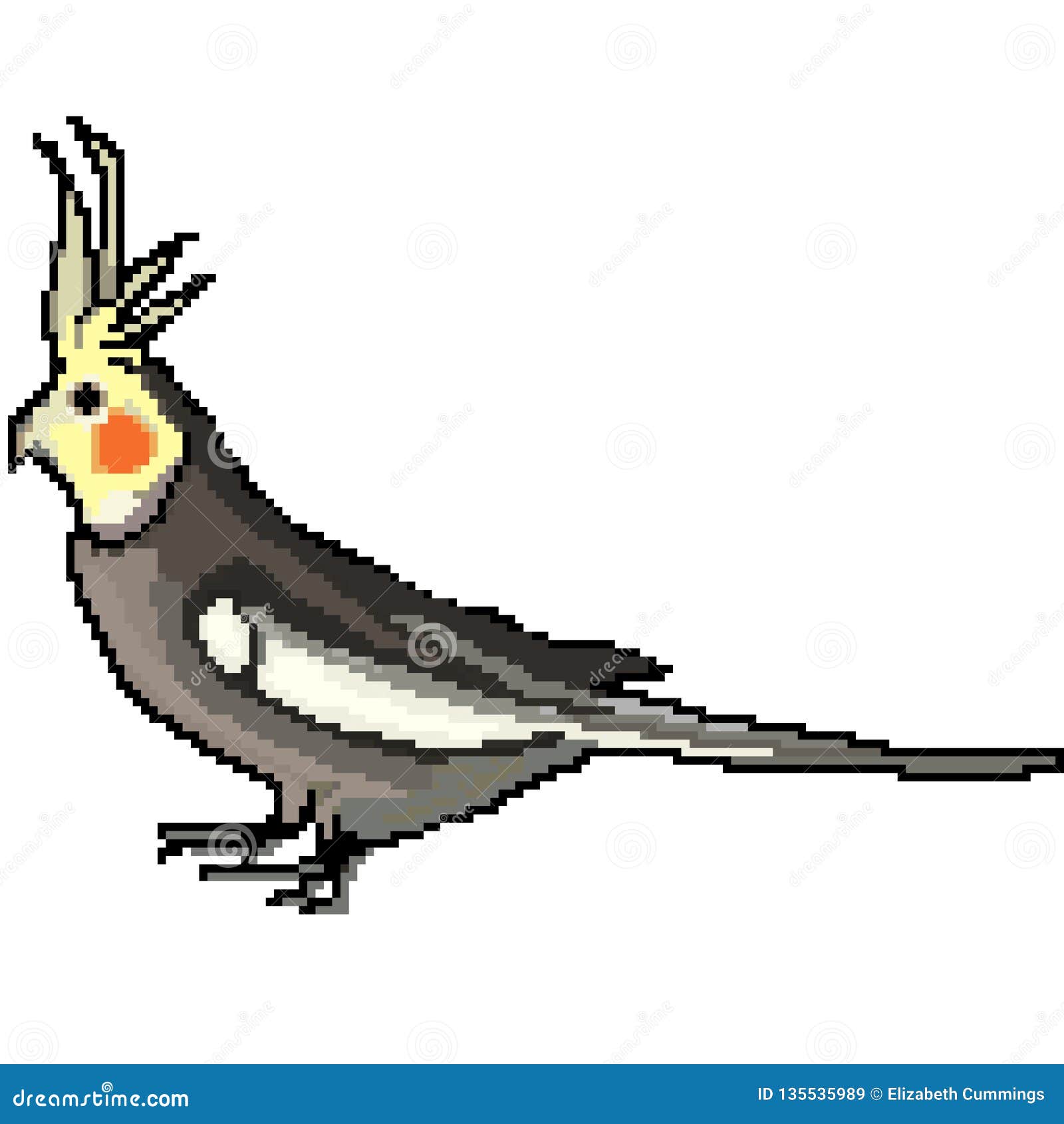 Cockatiel Stock Illustrations – 327 Cockatiel Stock Illustrations ...