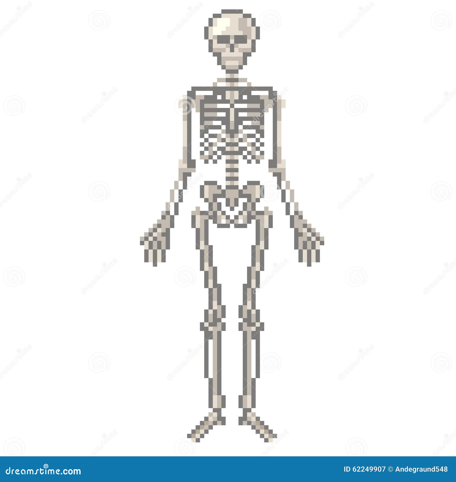Pixel Human Skeleton Vector Stock Vector - Illustration of museum ...