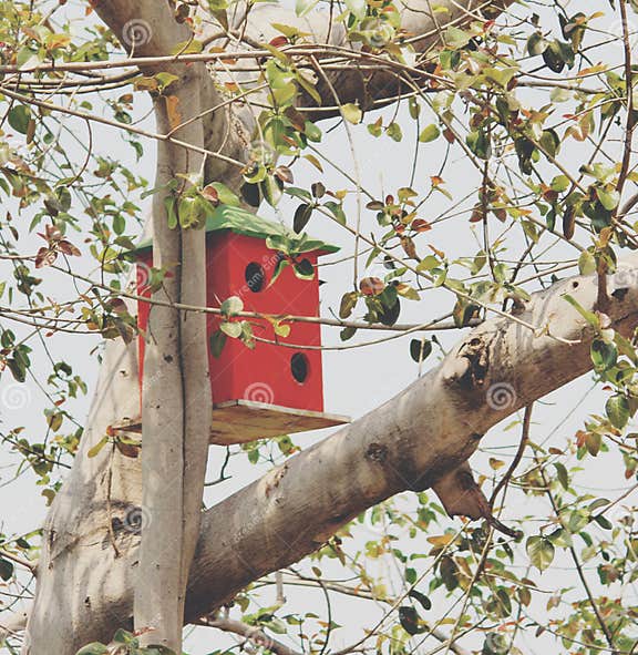 PixioN imagen de archivo. Imagen de tenga, foto, mejor - 89312077