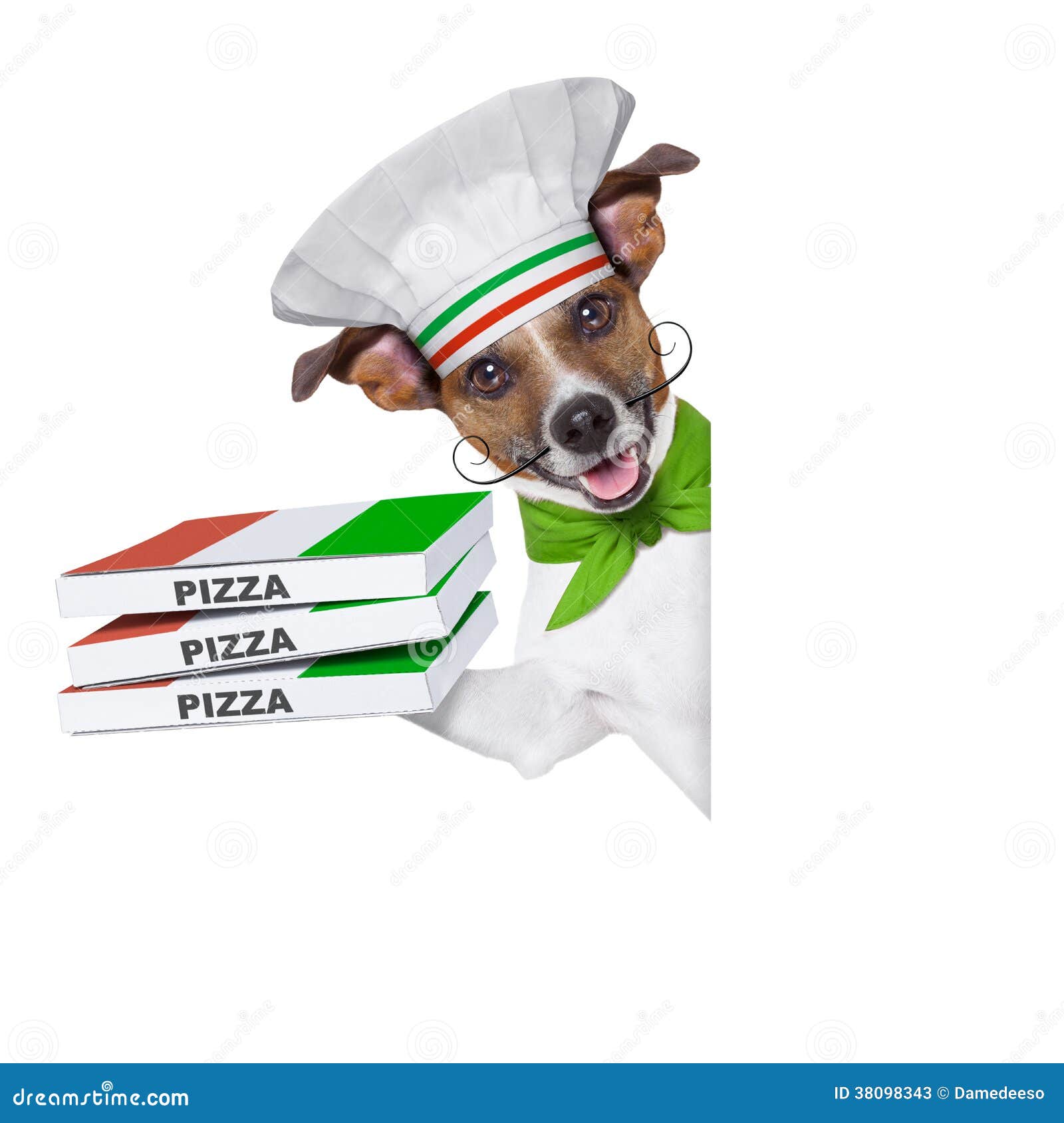 Pizza delivery dog stock image. Image of bread, isolated - 38098343
