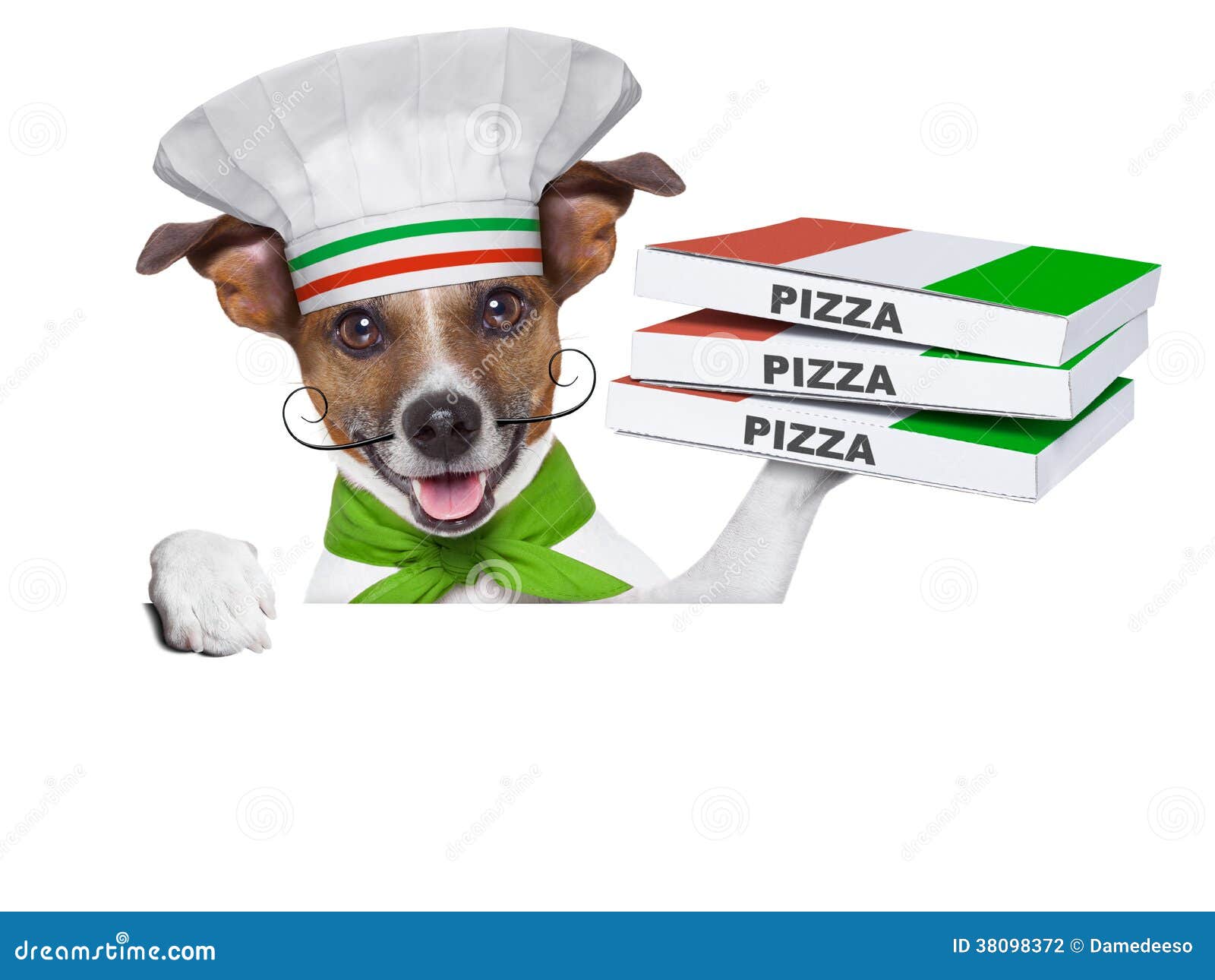 Pizza delivery dog stock photo. Image of card, home, cook - 38098372