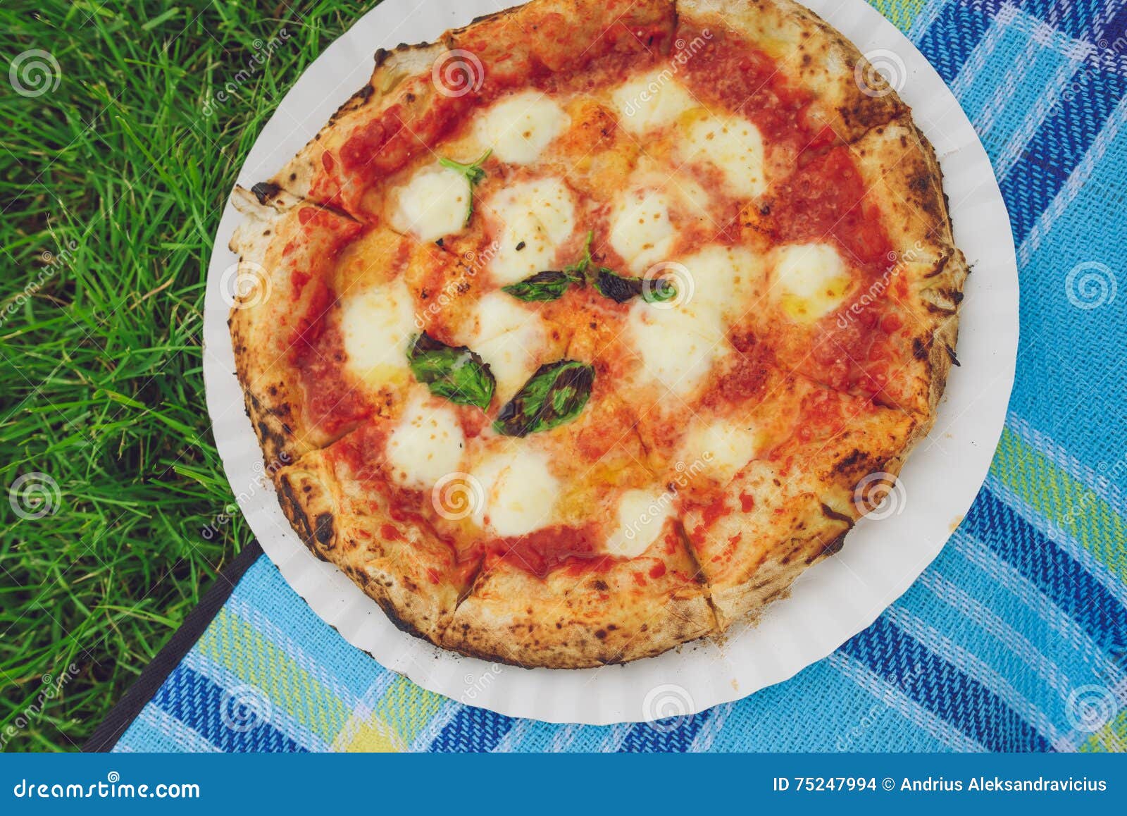 Pizza on green grass stock photo. Image of tasty, delicious - 75247994