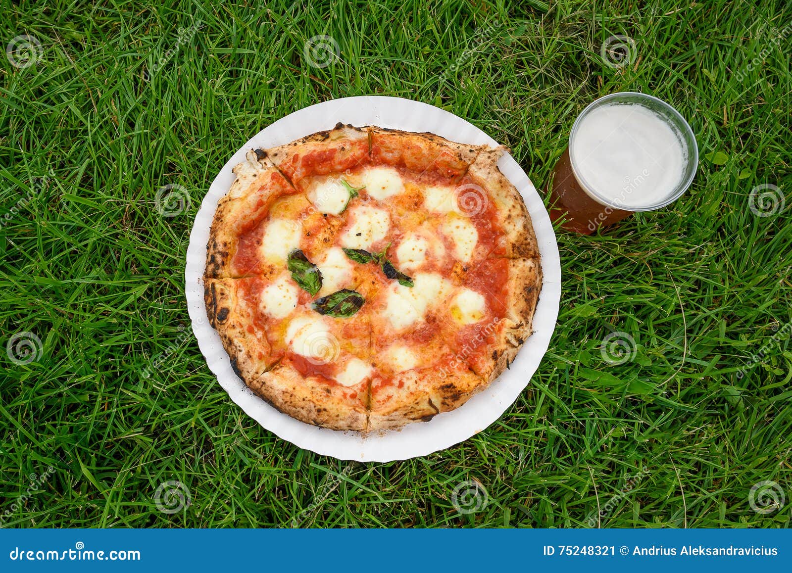 Pizza on green grass stock image. Image of beer, traditional - 75248321