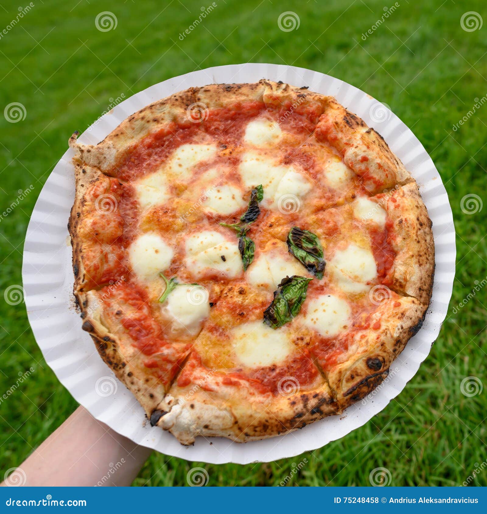 Pizza on green grass stock photo. Image of fast, traditional - 75248458
