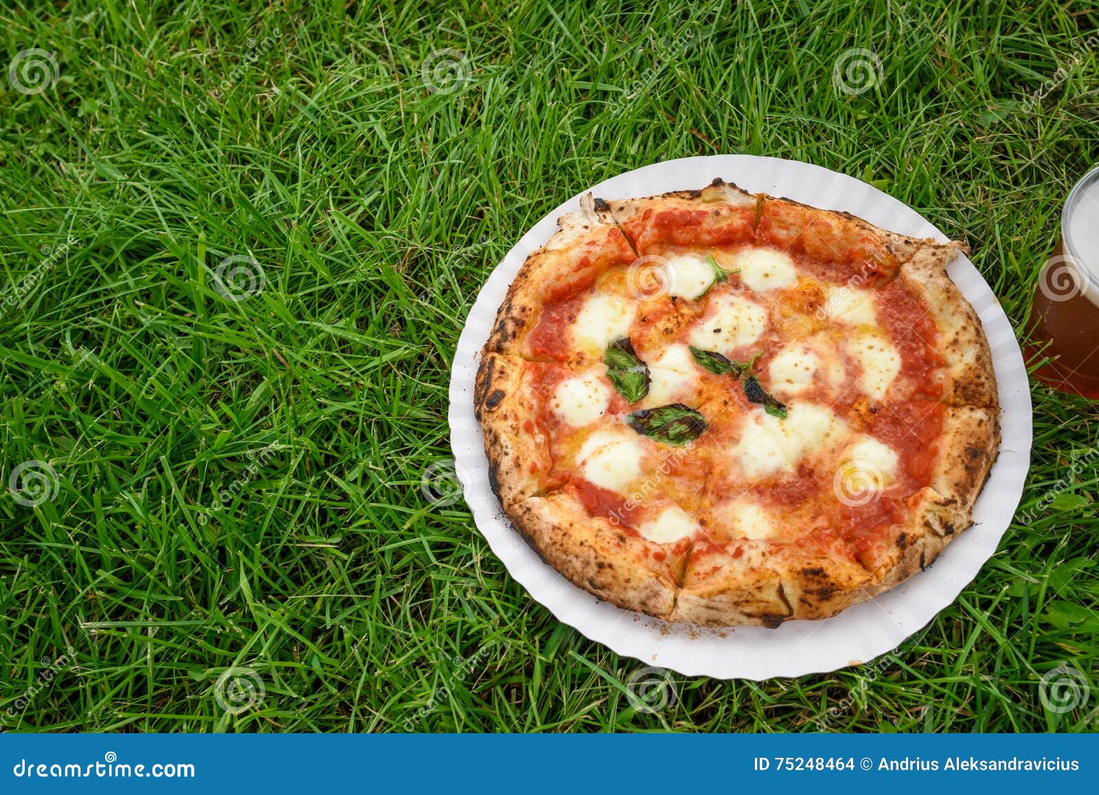 Pizza on green grass stock photo. Image of tomato, baked - 75248464