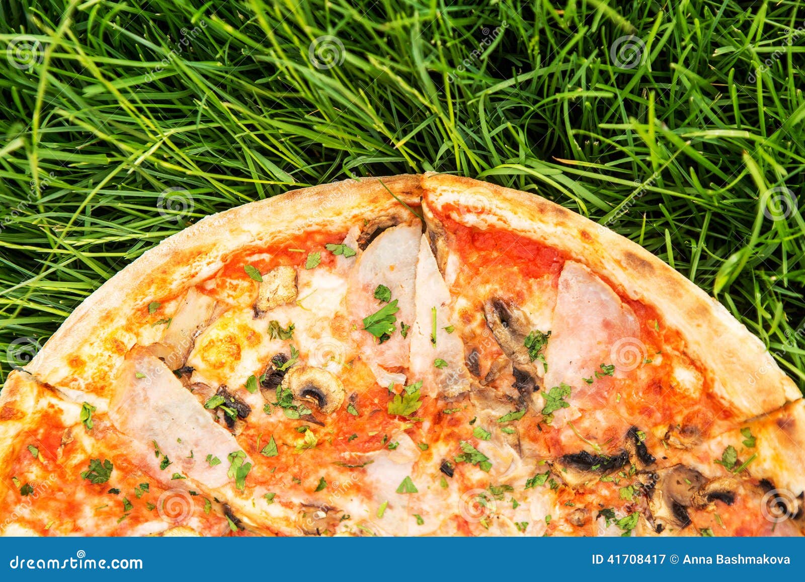 Pizza on lawn stock image. Image of curve, food, nourishing - 41708417