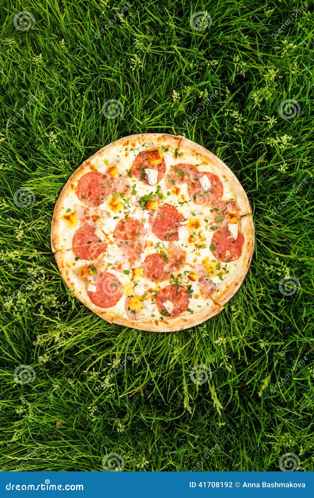 Pizza and Nature stock photo. Image of curve, pastry - 41708192