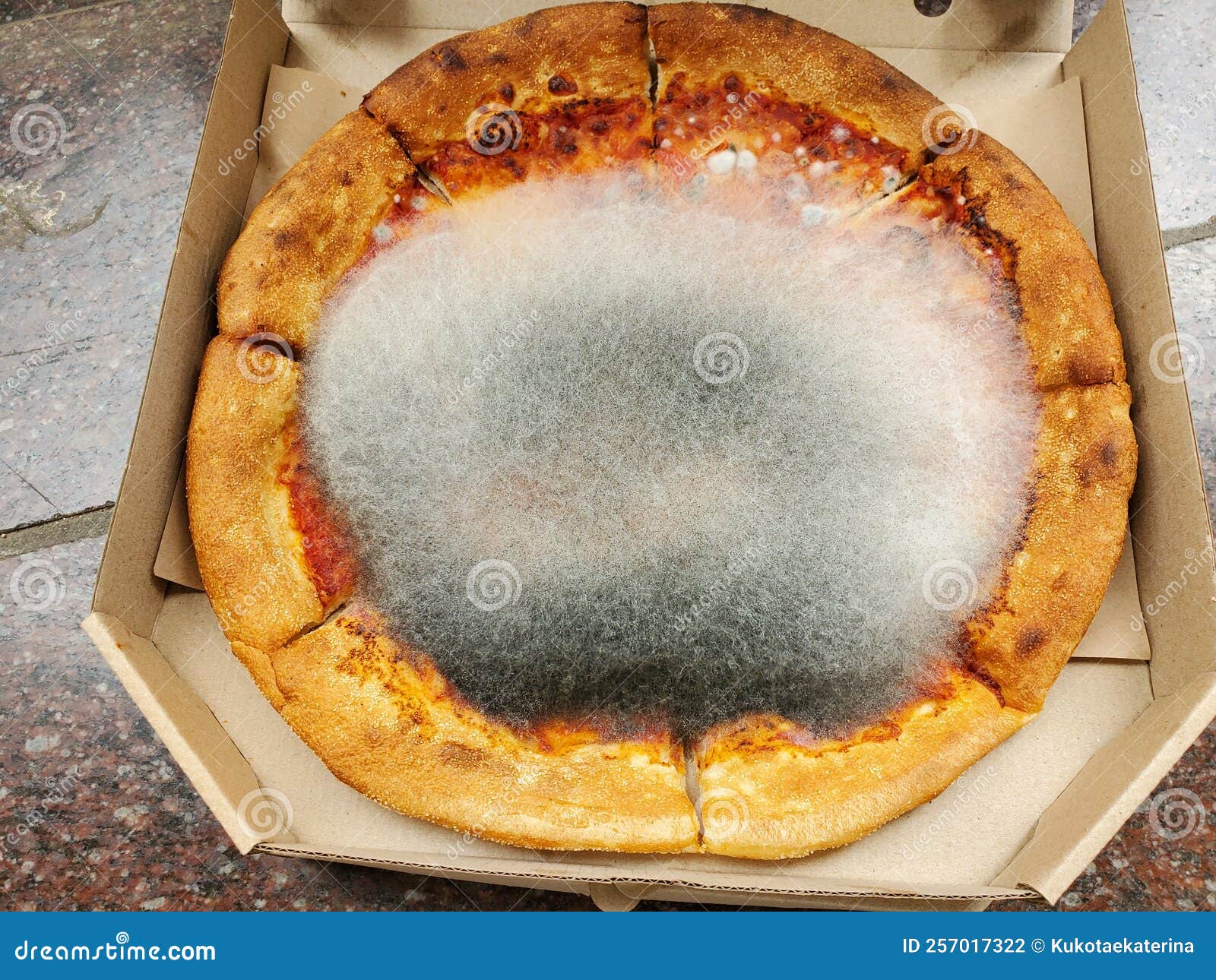 The Pizza You Forgot about for a Week. and she Got Moldy Stock Photo ...