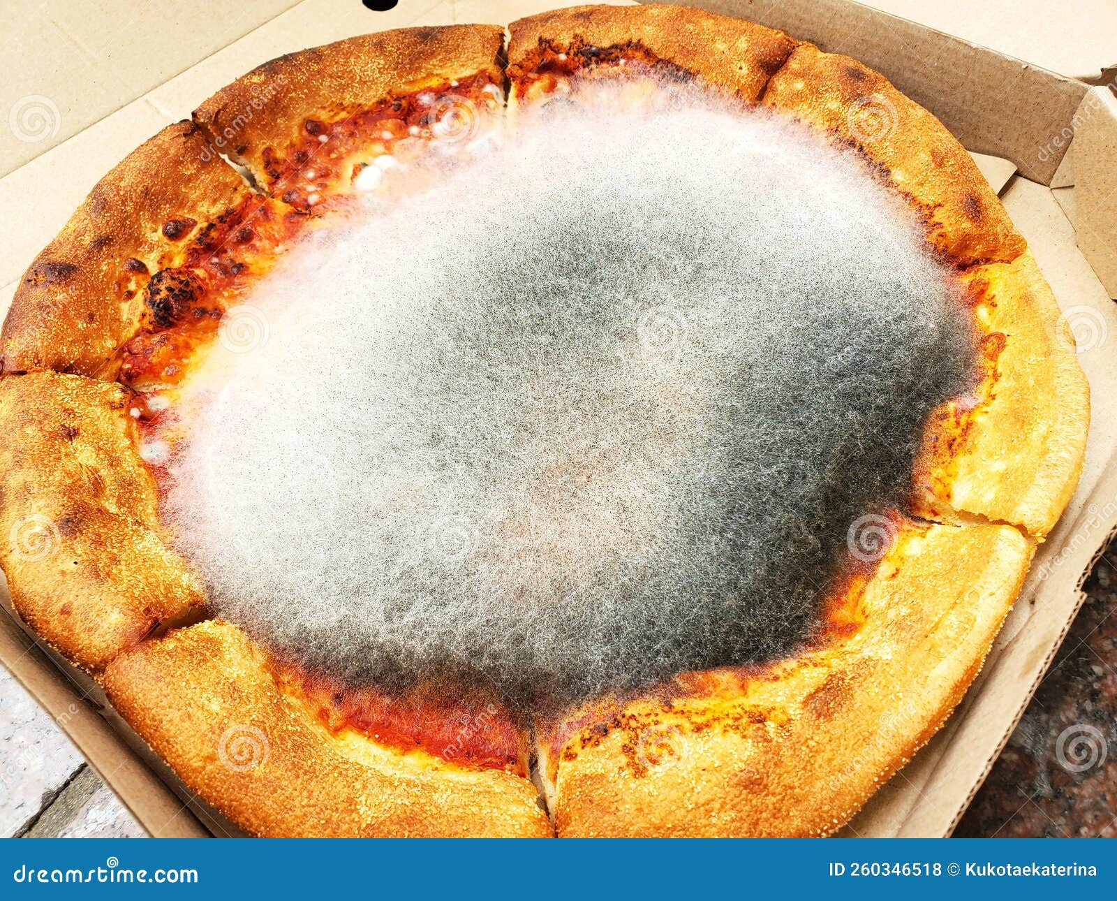 The Pizza You Forgot about for a Week. and she Got Moldy Stock Photo ...