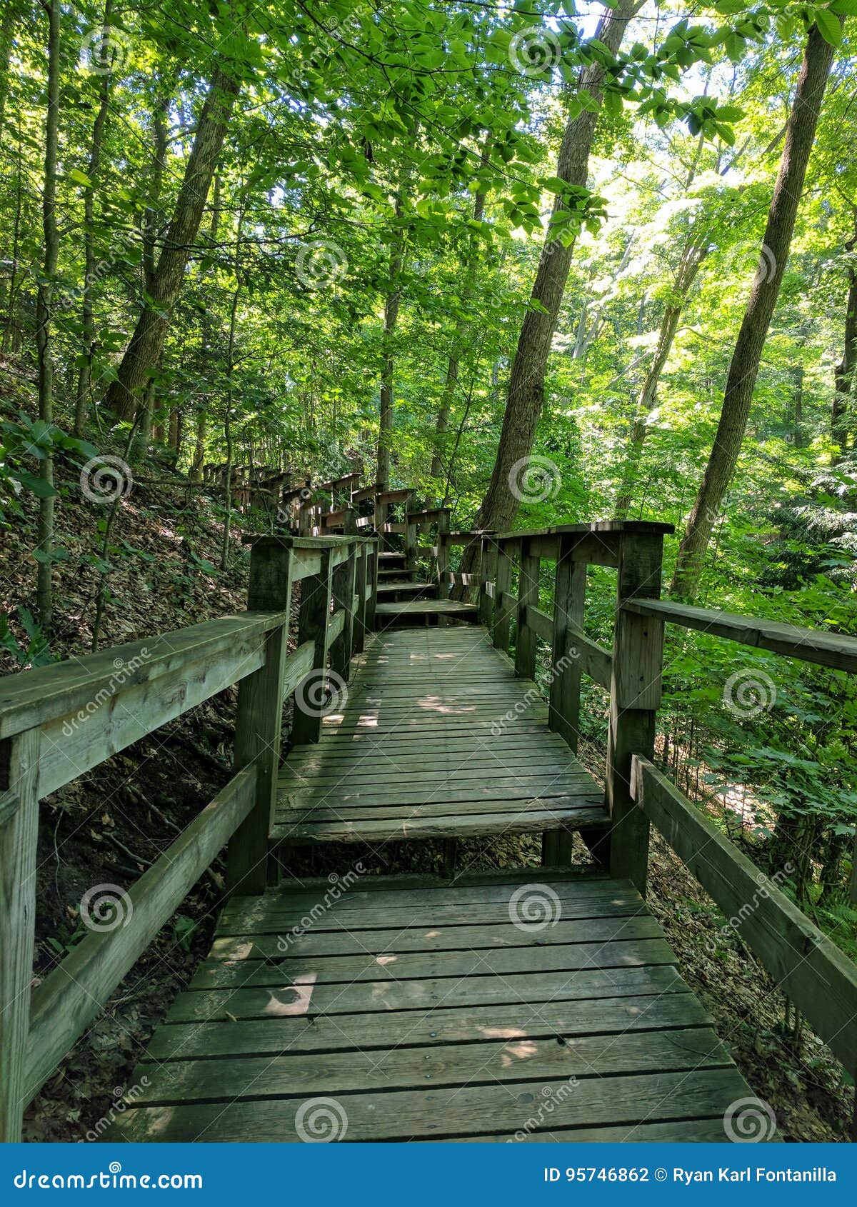 Pj hoffmaster state park stock photo. Image of reflection - 95746862