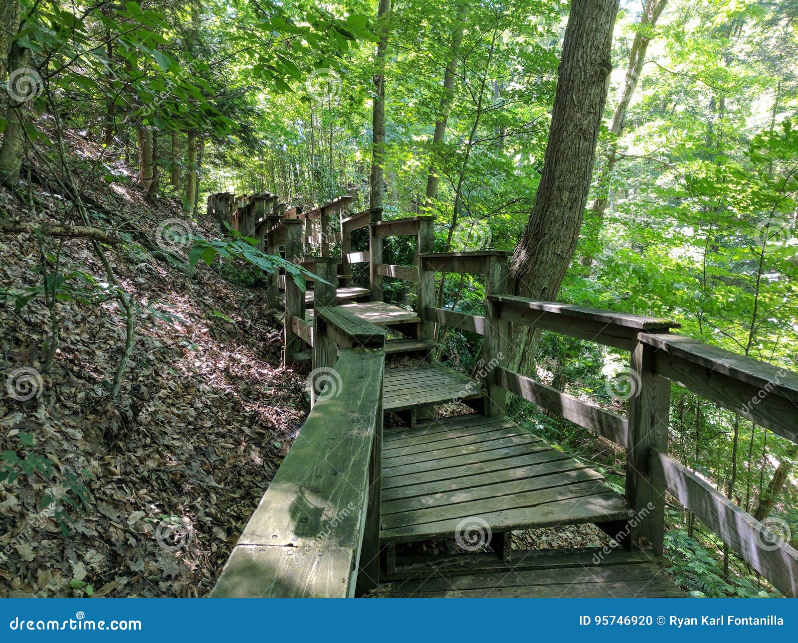 Pj Hoffmaster state park stock photo. Image of state - 95746920