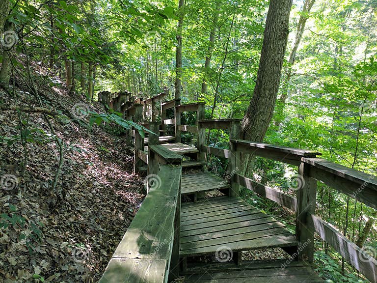 Pj Hoffmaster state park stock photo. Image of state - 95746920