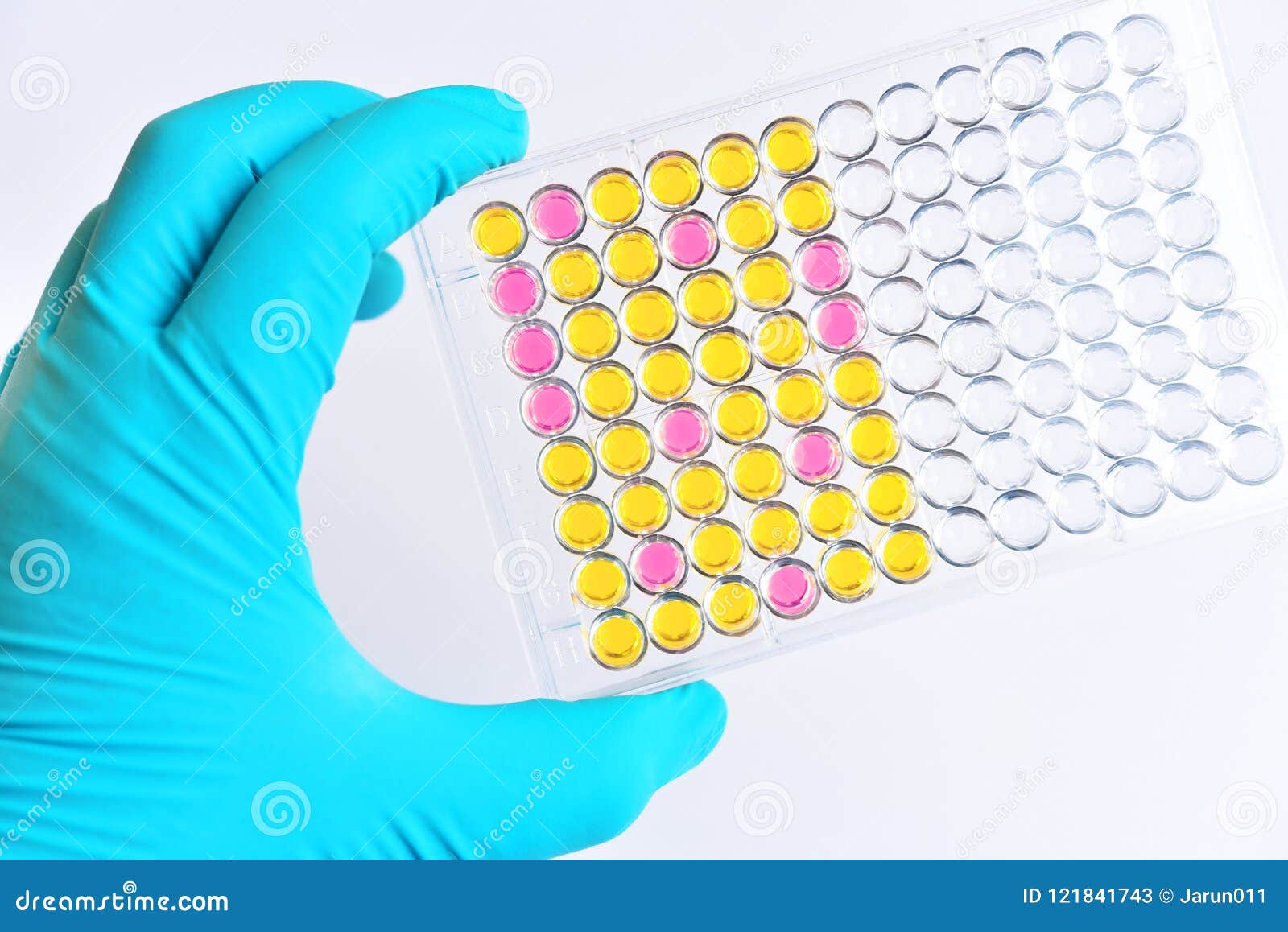 Placa De ELISA En Laboratorio Imagen de archivo - Imagen de placa ...