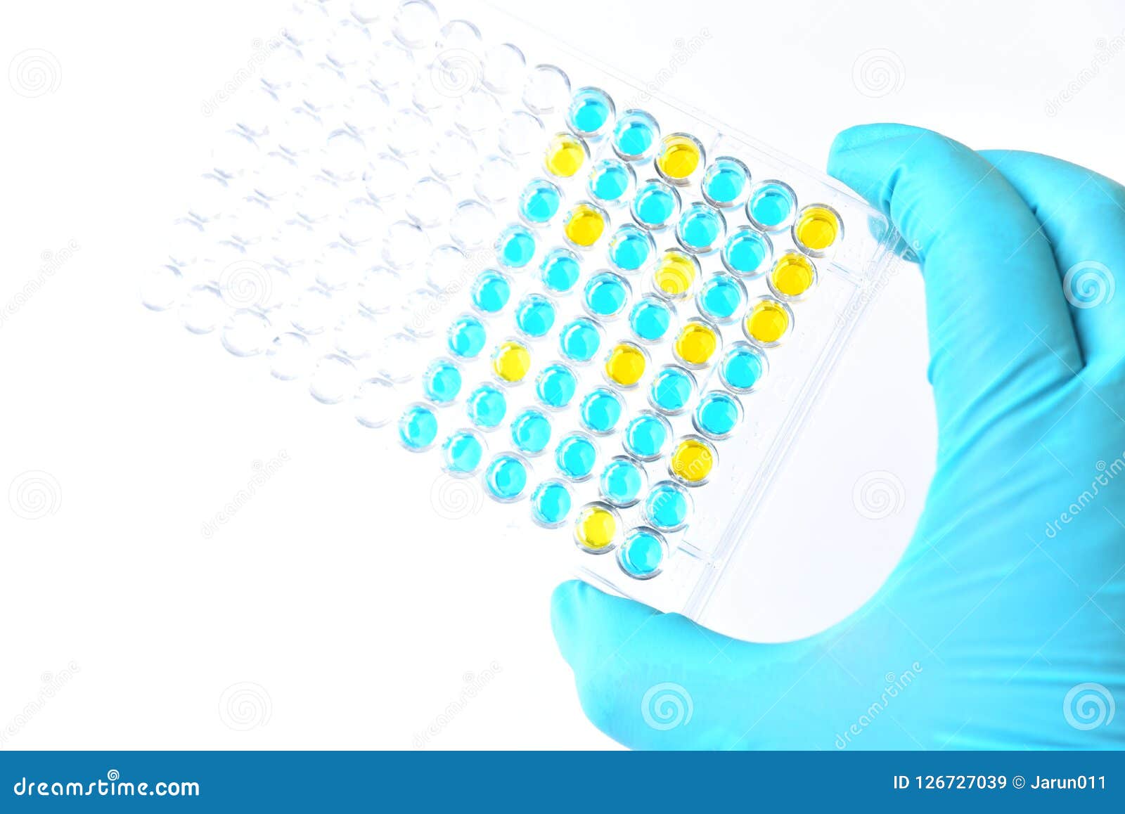 Placa De ELISA En Laboratorio Imagen de archivo - Imagen de elisa ...