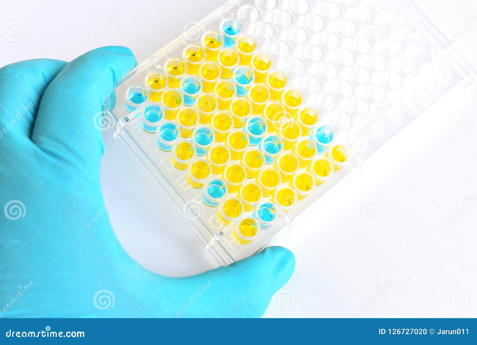 Placa De ELISA No Laboratório Foto de Stock - Imagem de tecnologia ...