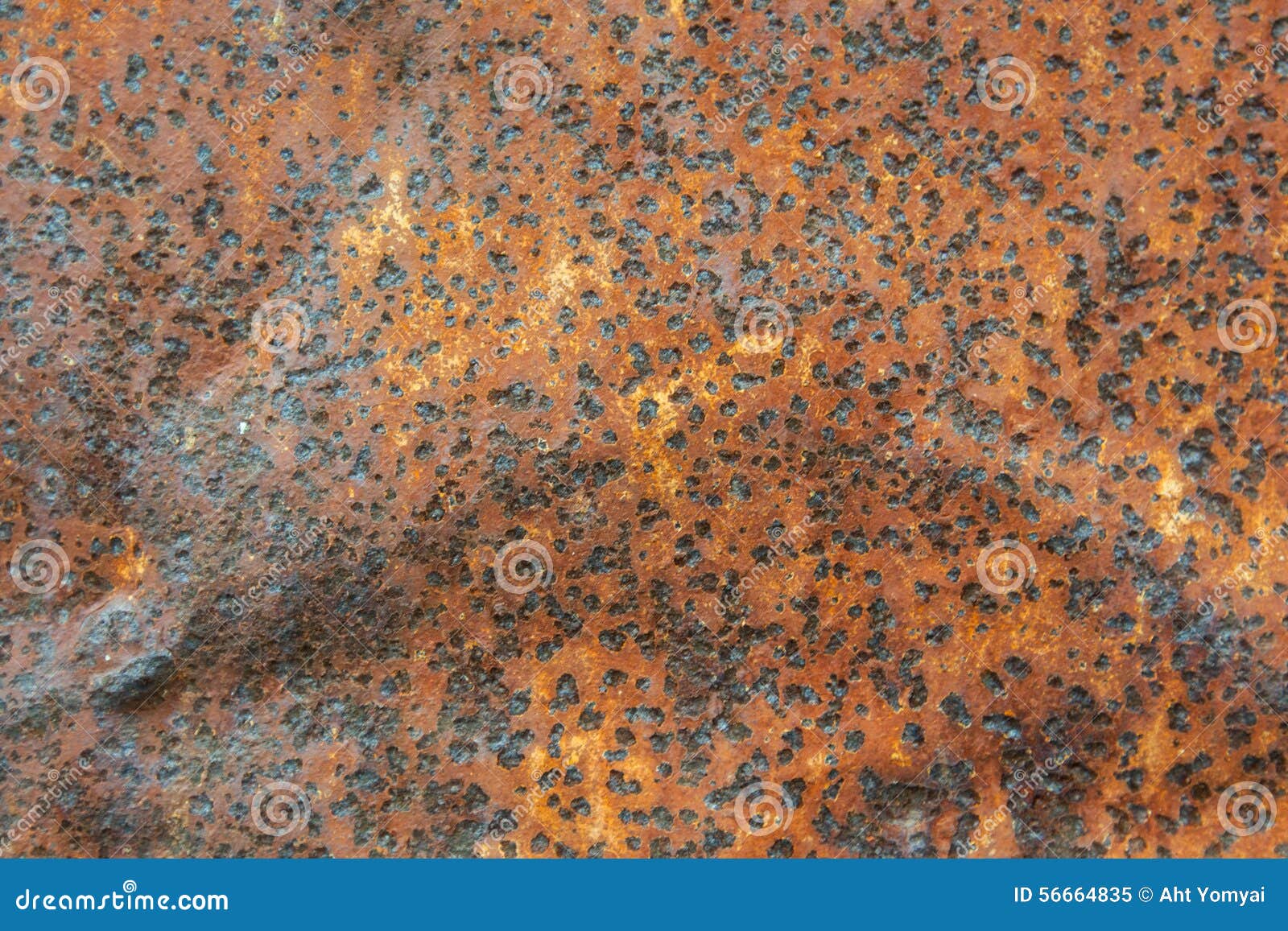 Placa De Metal Oxidada Velha Imagem de Stock - Imagem de ferro ...