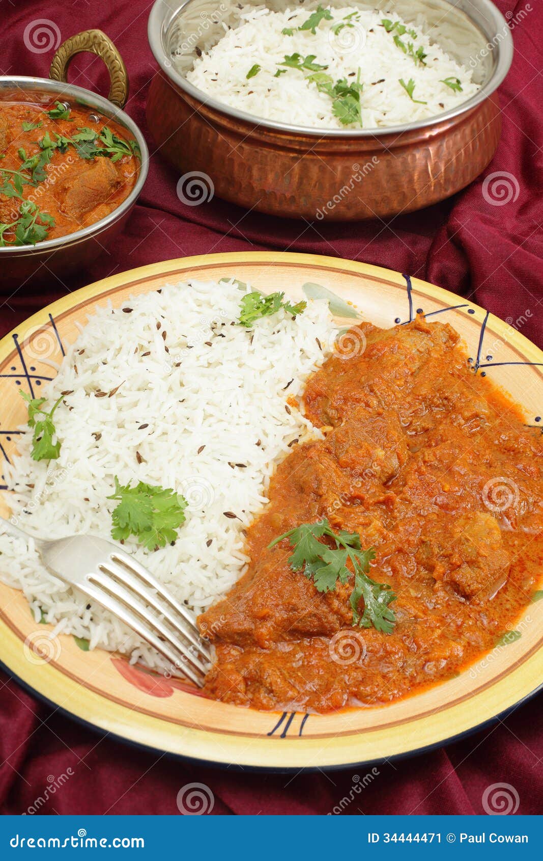 Placa del josh de Rogan imagen de archivo. Imagen de curry - 34444471