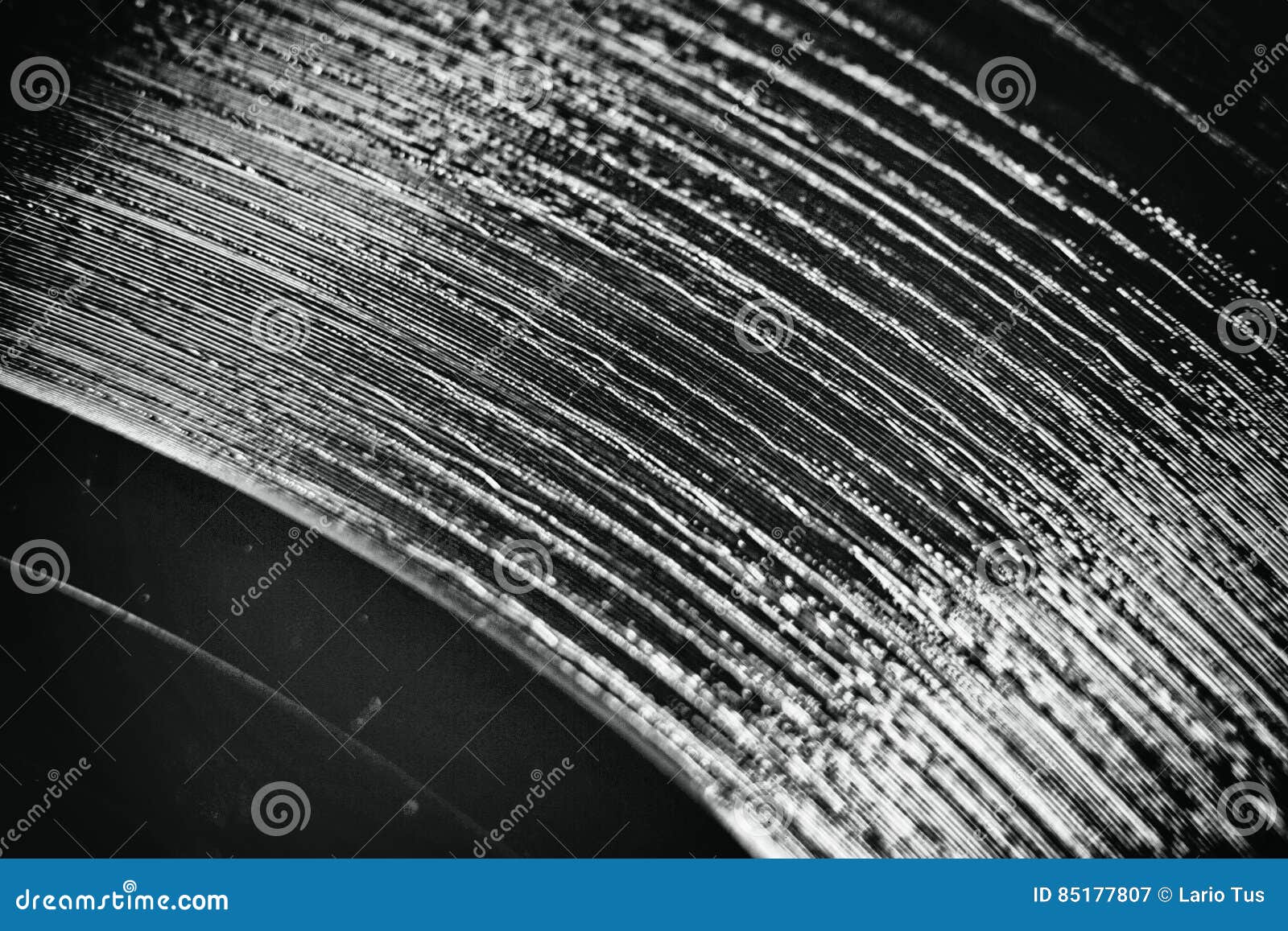 Placa Riscada Do Registro De Vinil Imagem de Stock - Imagem de quarto ...