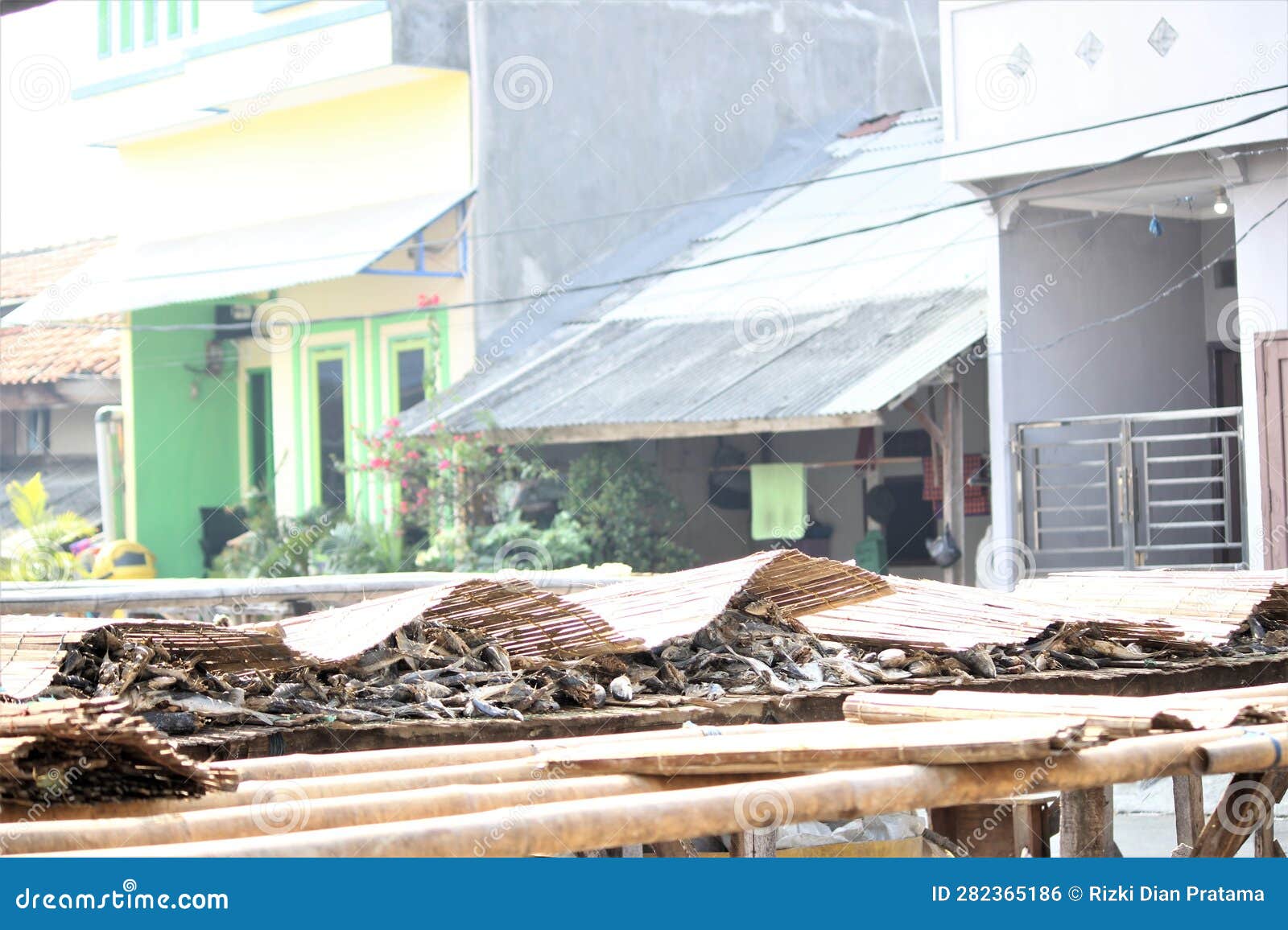 Place for Drying Fish and Salting Fish Stock Photo - Image of person ...