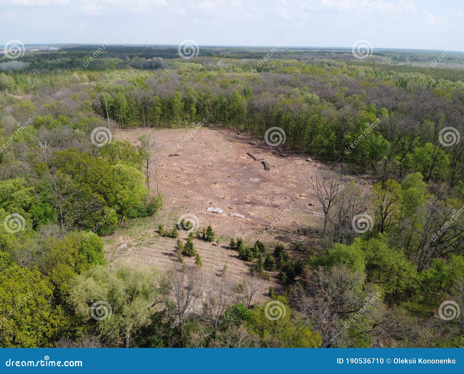 A Place of Felling, Aerial View. Devastated Land, Clearing Stock Photo ...