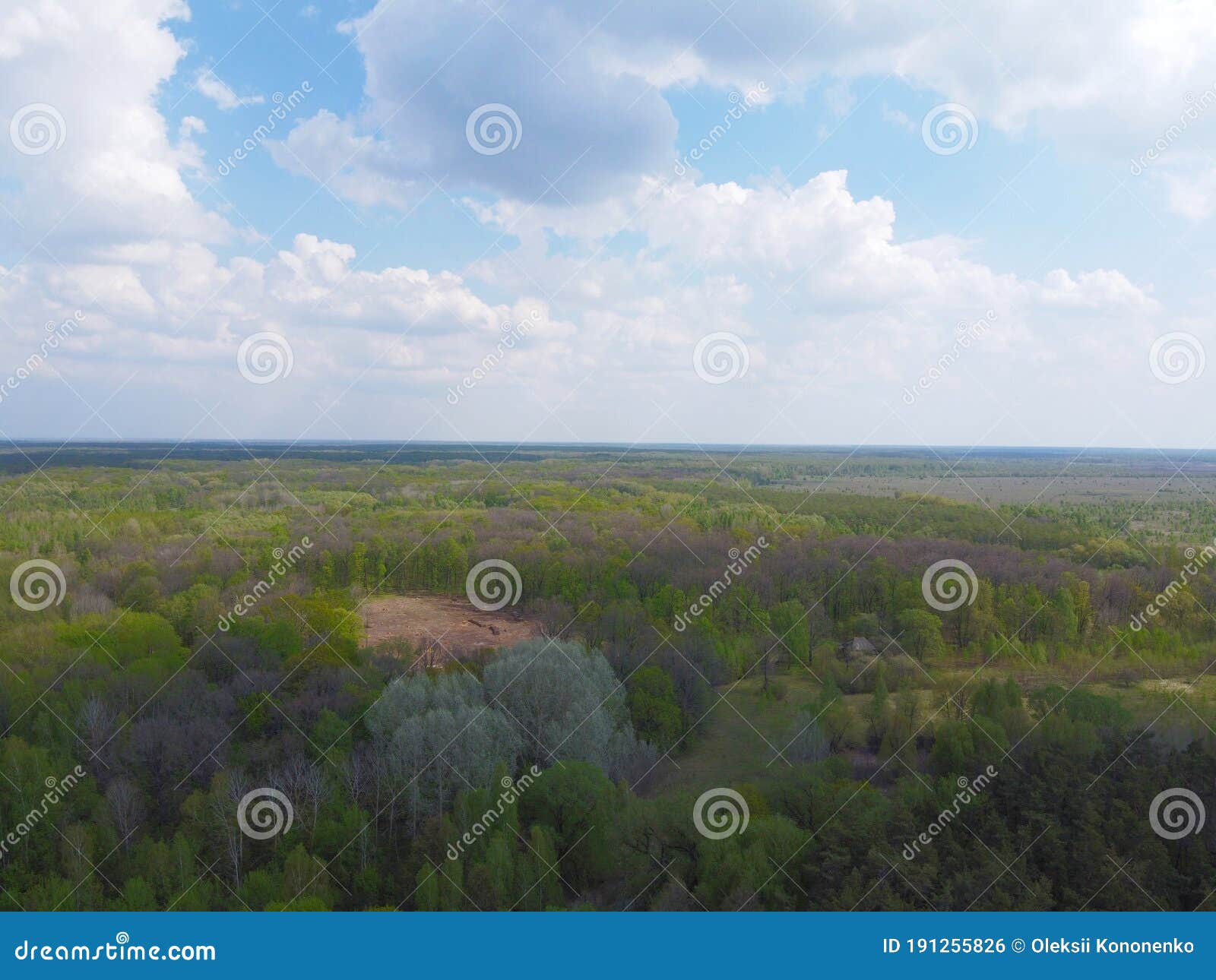 A Place of Felling, Aerial View. Devastated Land, Clearing Stock Photo ...