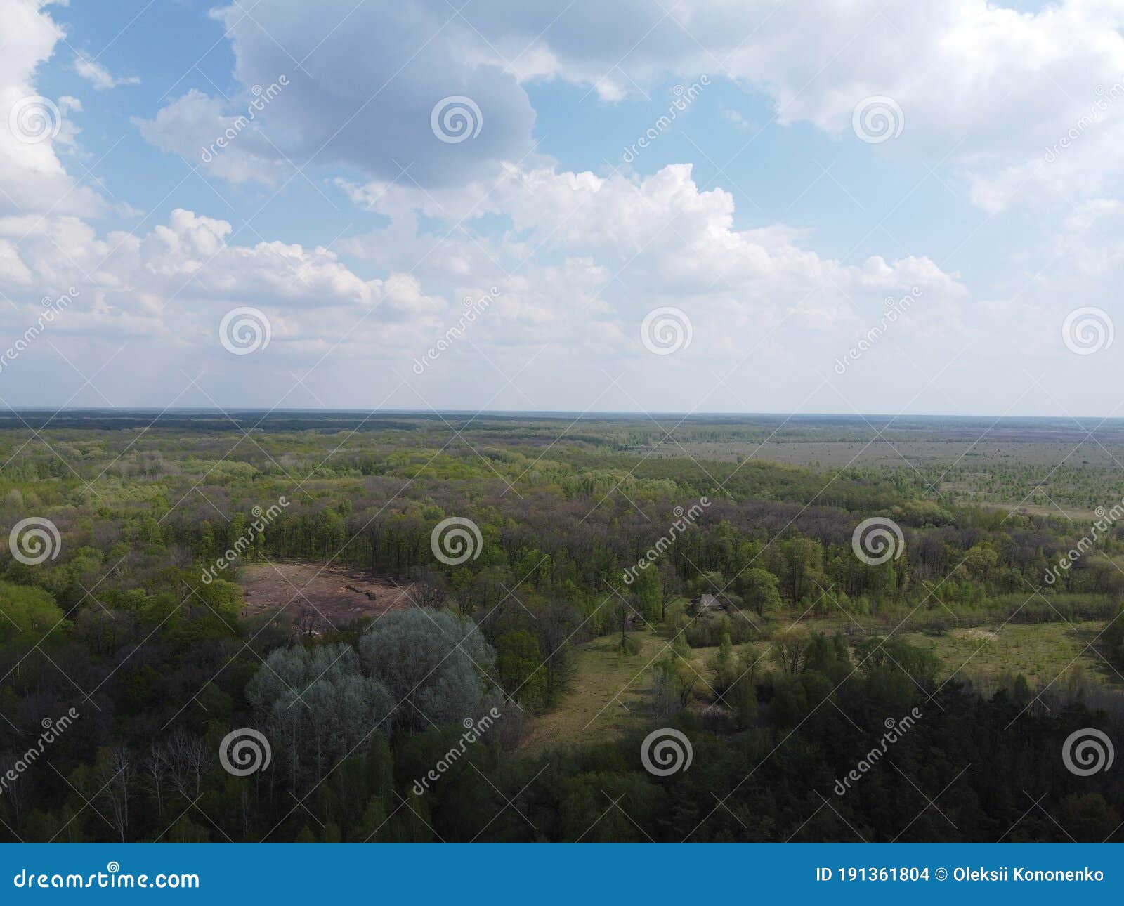 A Place of Felling, Aerial View. Devastated Land, Clearing Stock Photo ...